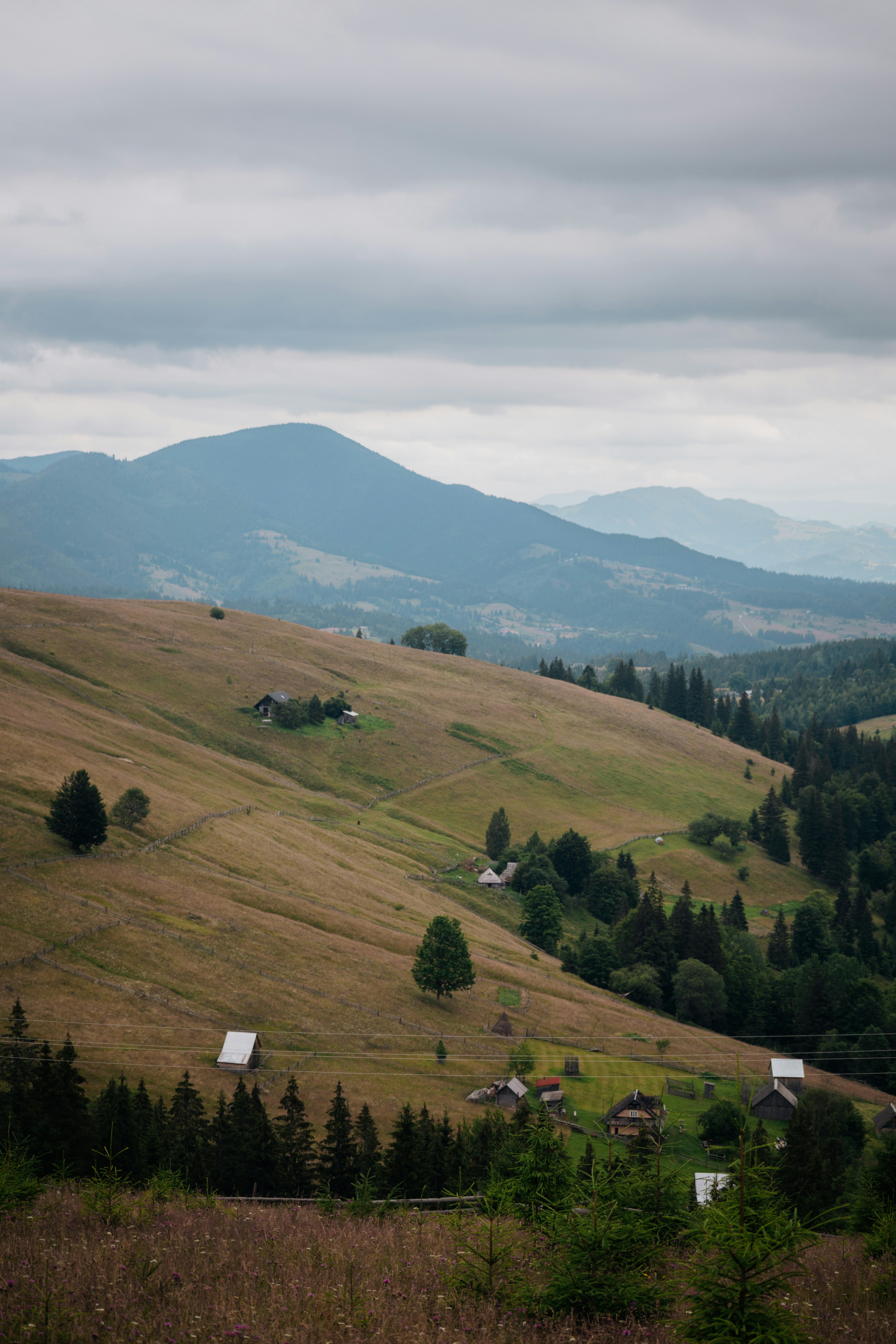 Pastoral Valleys Beneath Silent Peaks