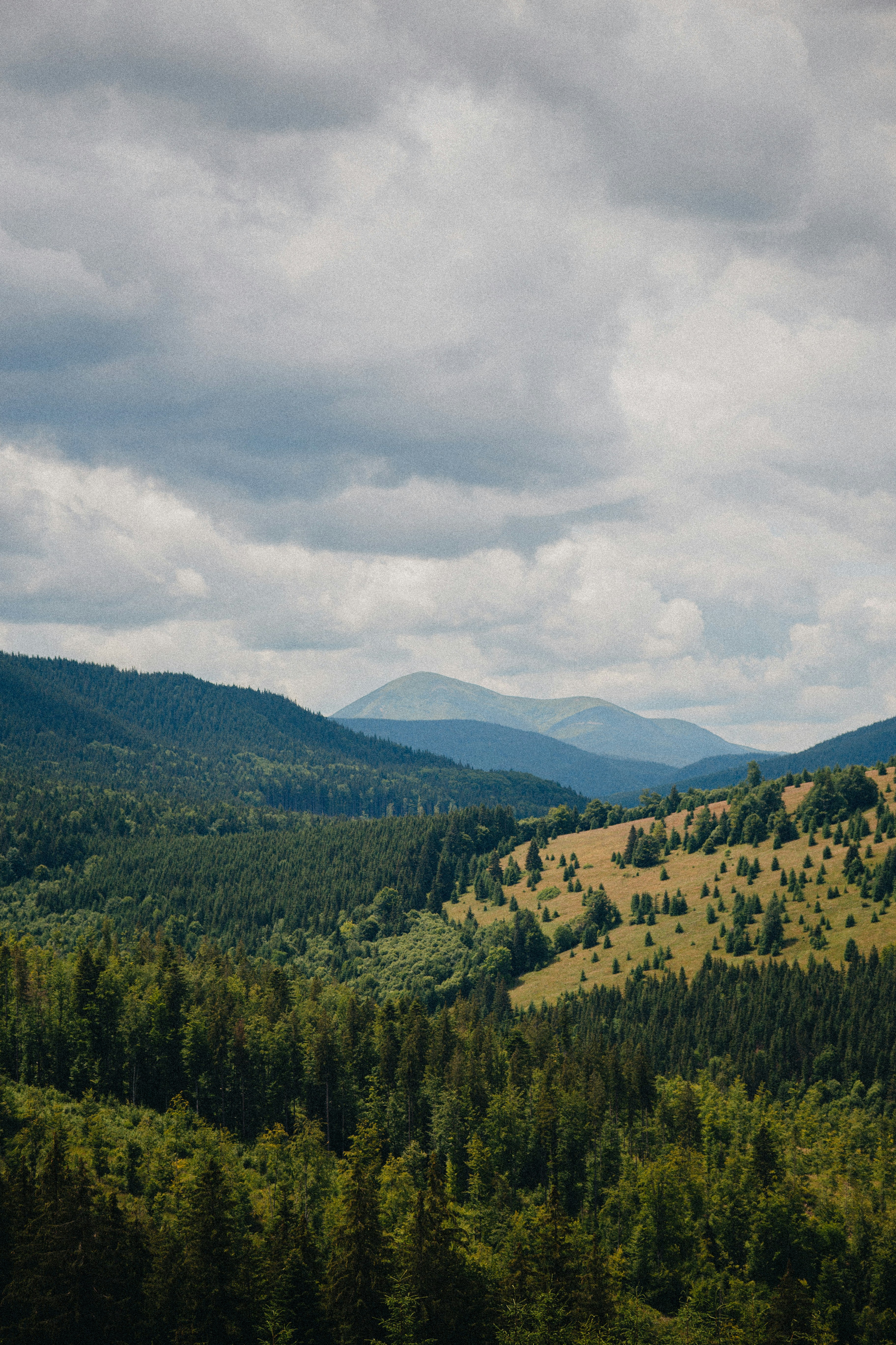 Verdant Highlands Under a Layered Sky