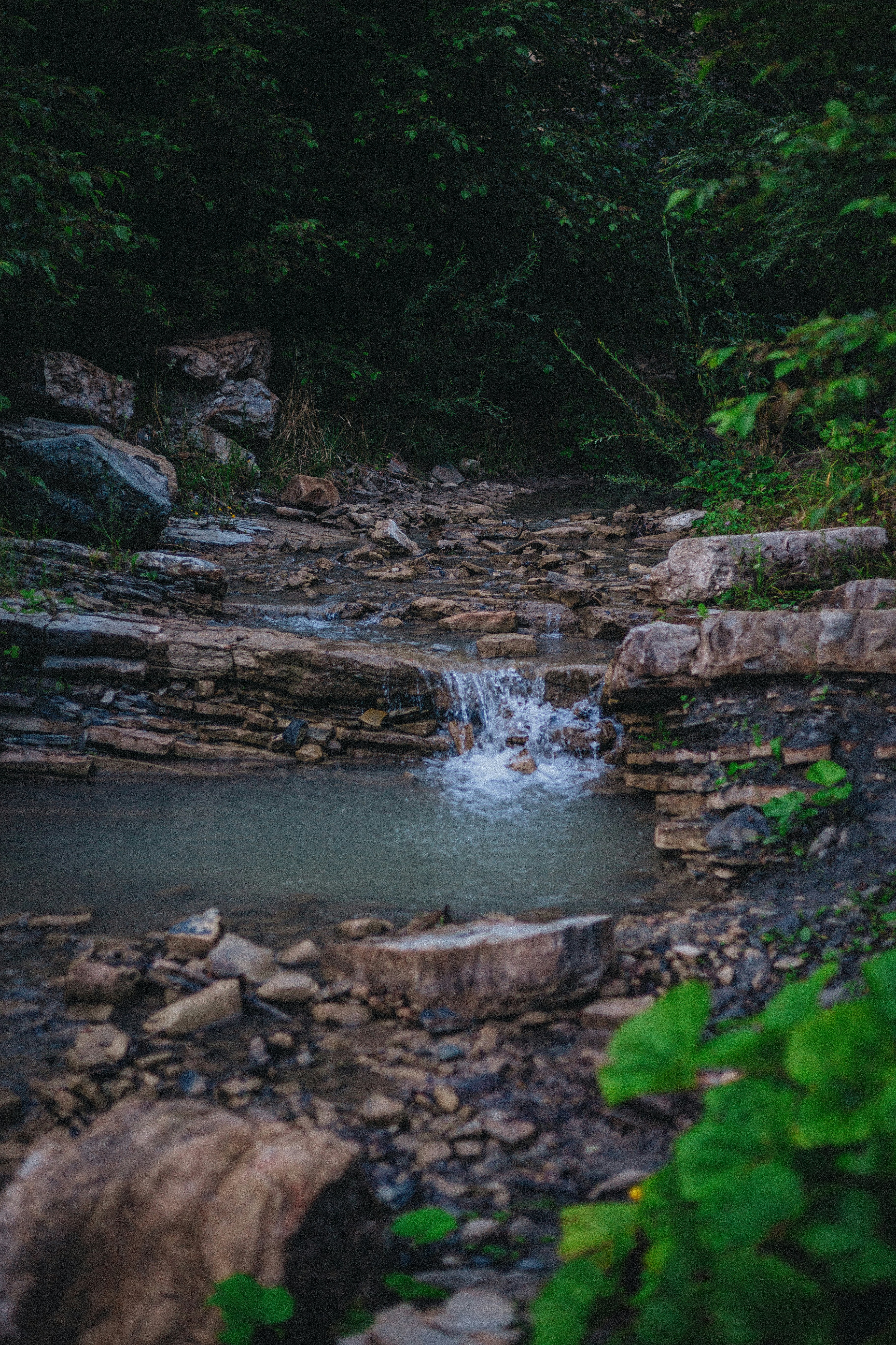Whispering Creek: A Quiet Tiered Cascade Through Stone and Fern
