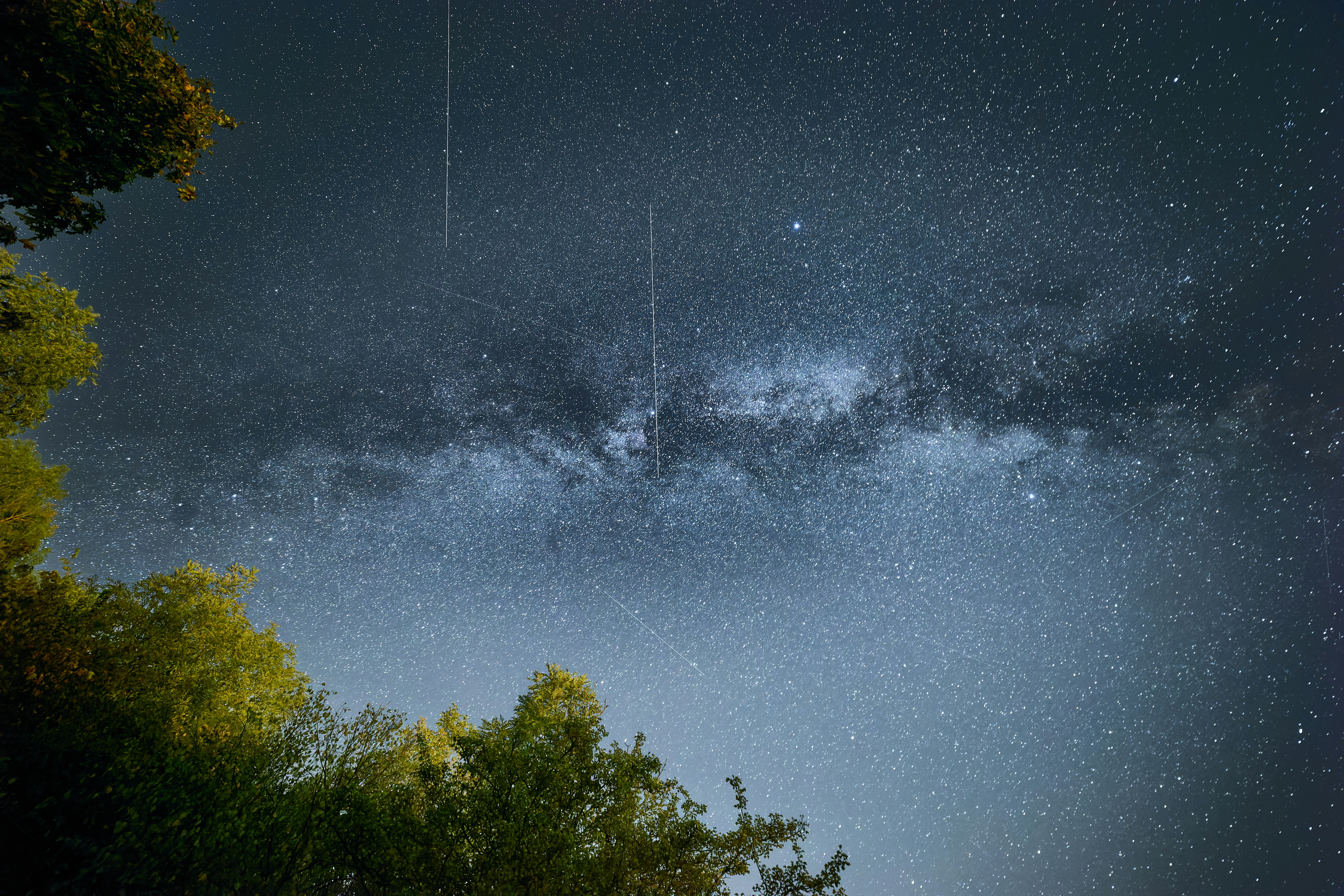 Meteor Trails Across a Clear Night Sky Over Leafy Horizon