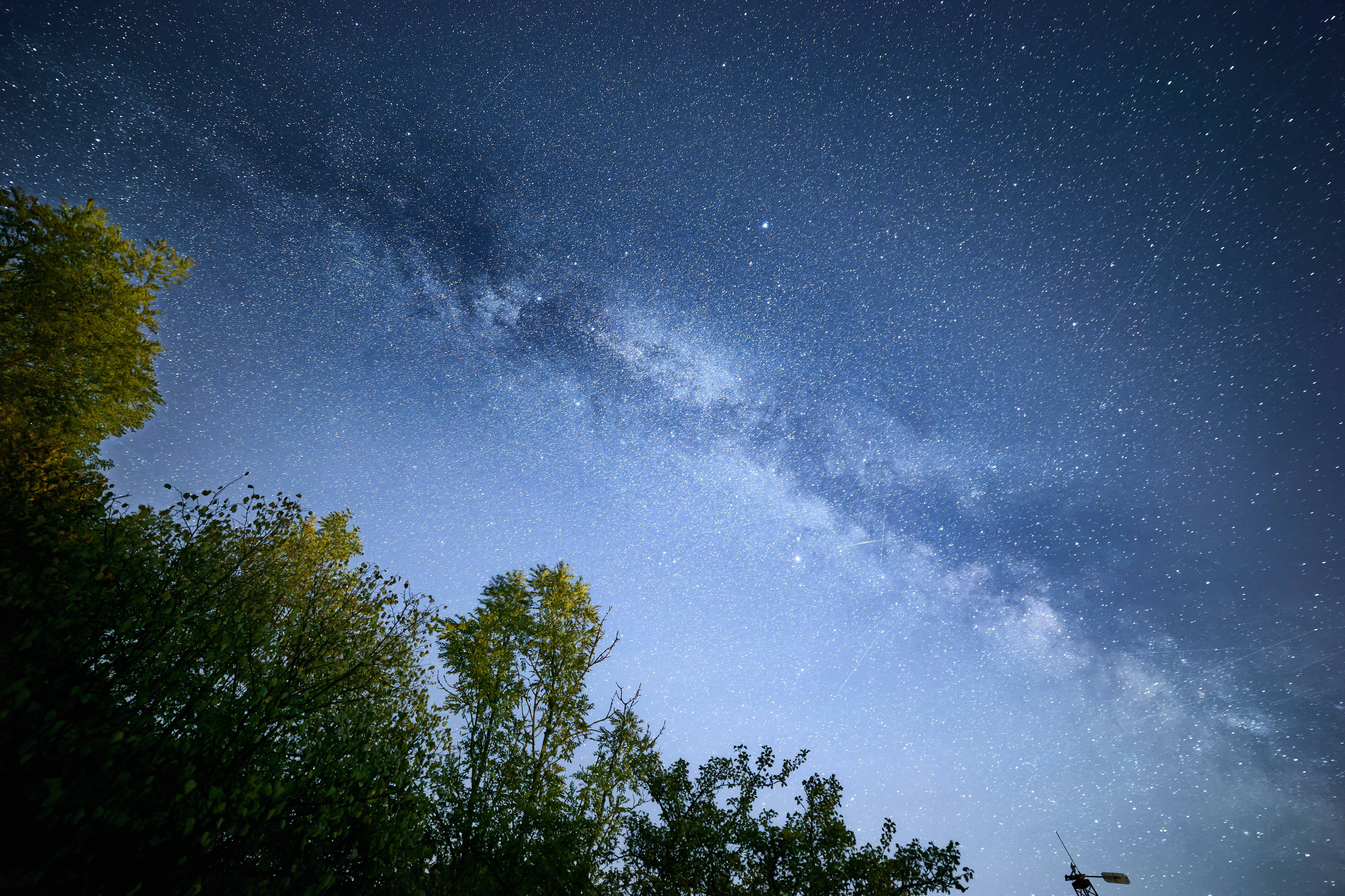 Milky Way Arc Over Forest Canopy