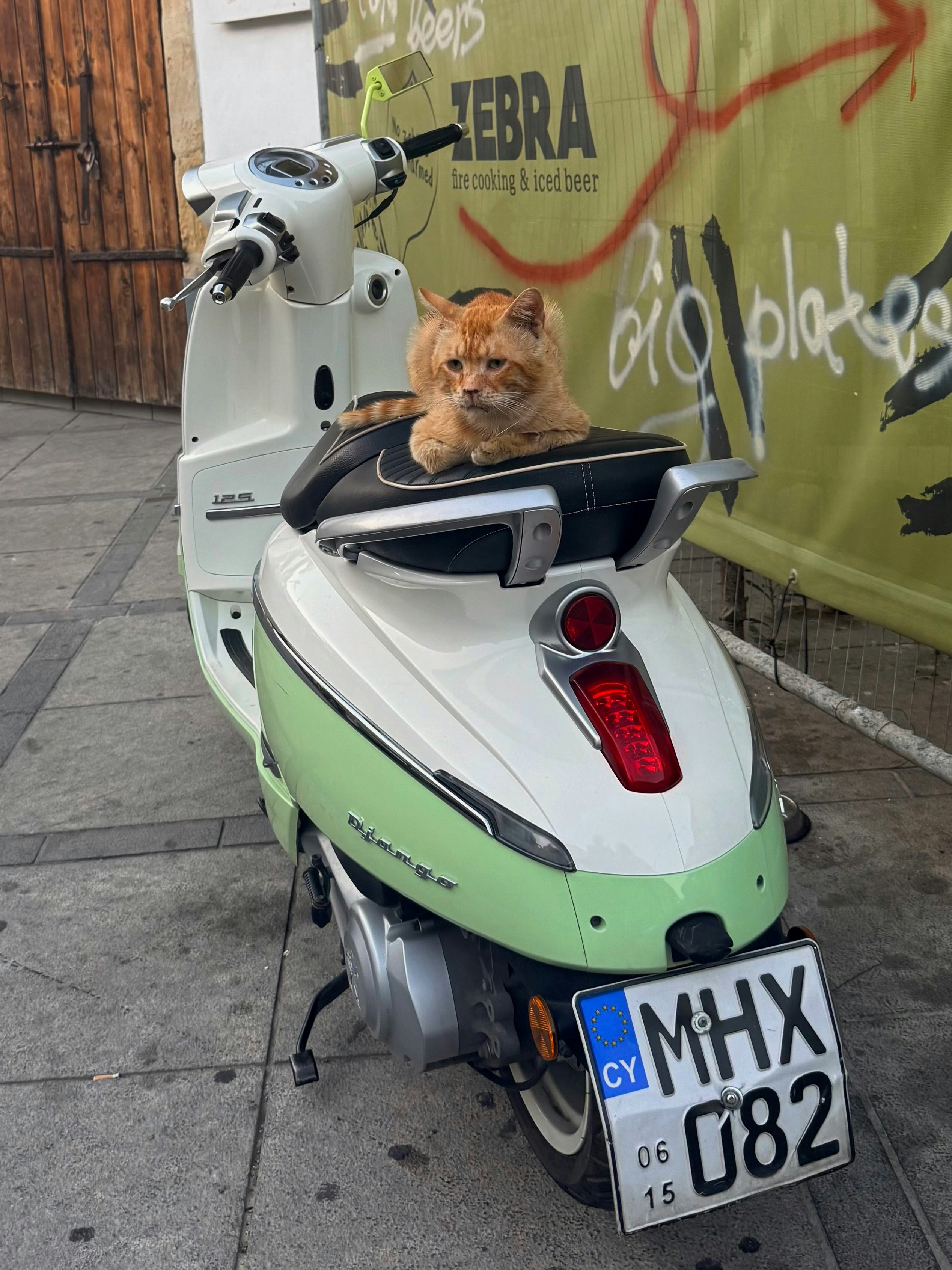 Cat on a Mint Scooter: Pale Lime and Cream Cityride