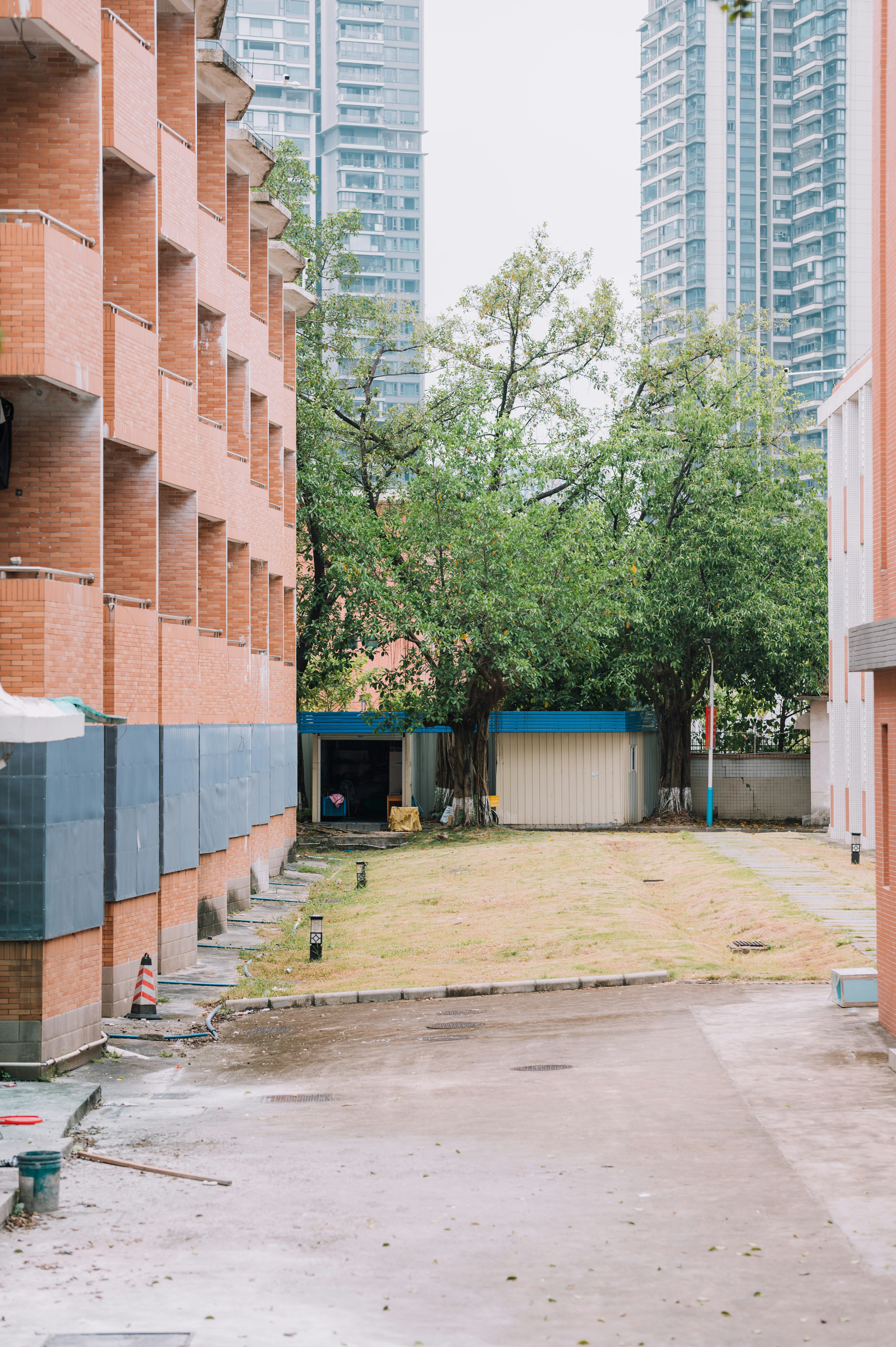 Between Brick Arches and Tall Glass: An Urban Courtyard Framed by Trees