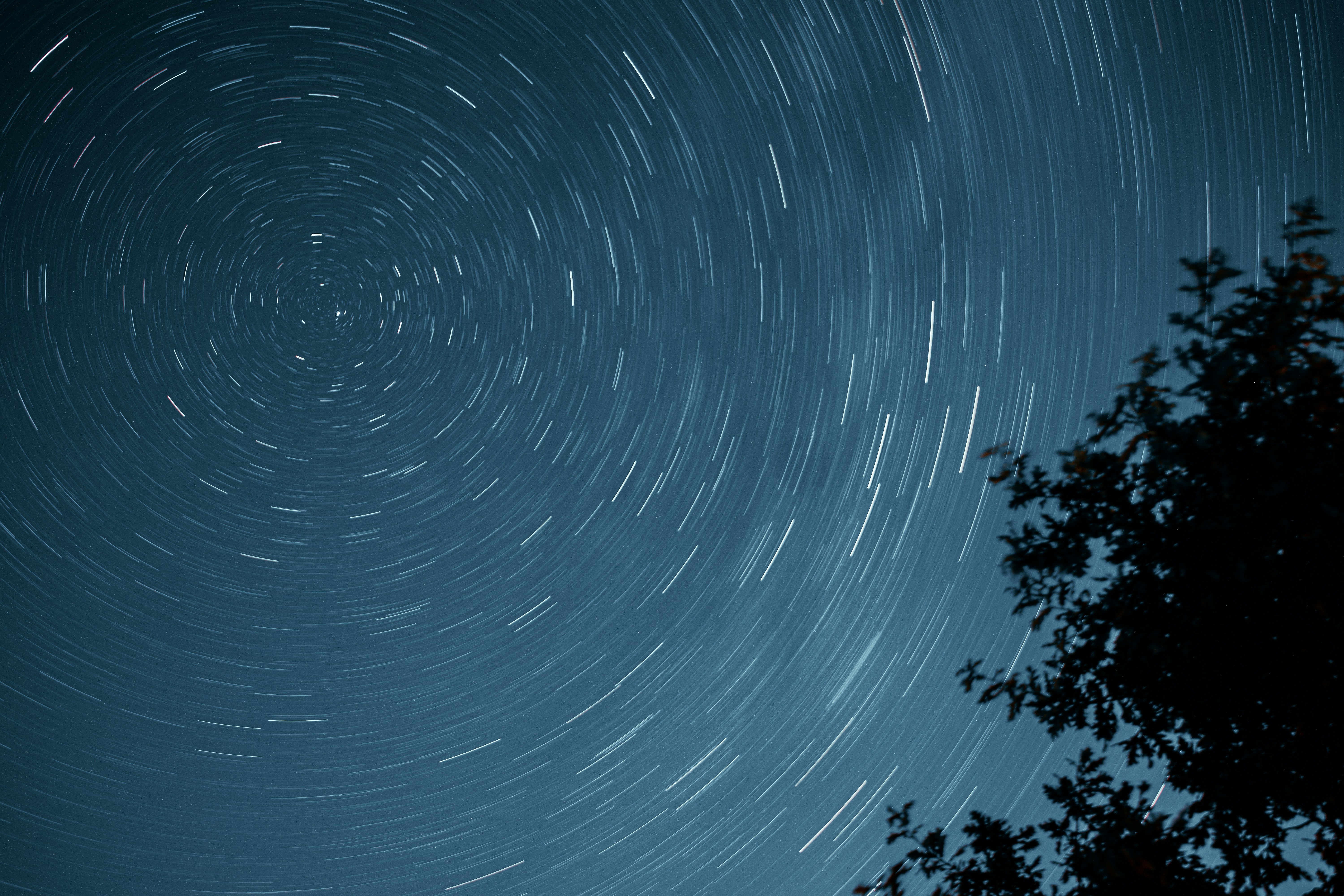 Star Trails Over a Quiet Timberline