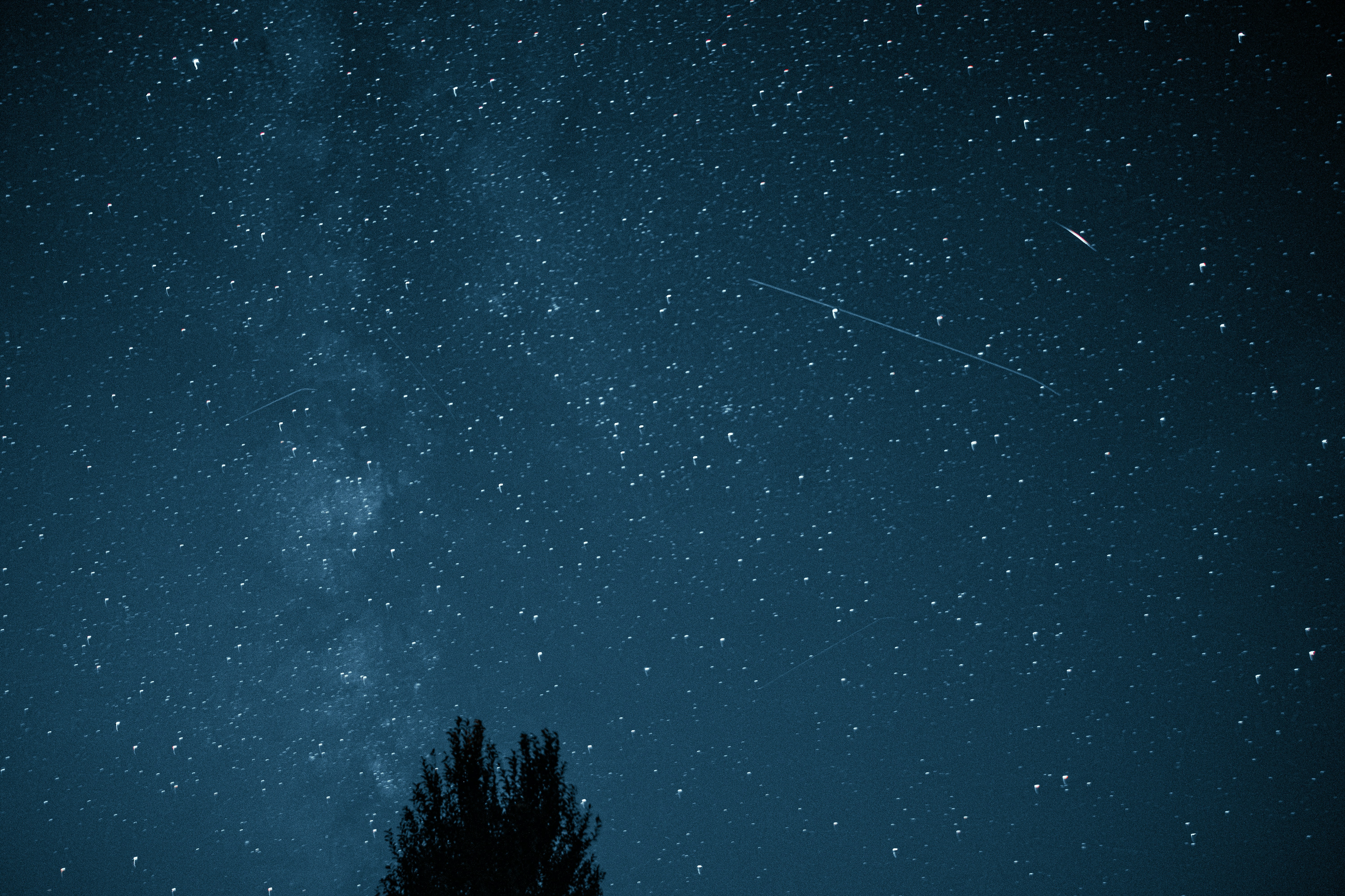Dense star field with the Milky Way glow and a dark treeline at the bottom, capturing the quiet expanse of the night sky. A meteor-like streak hints at distant motion.