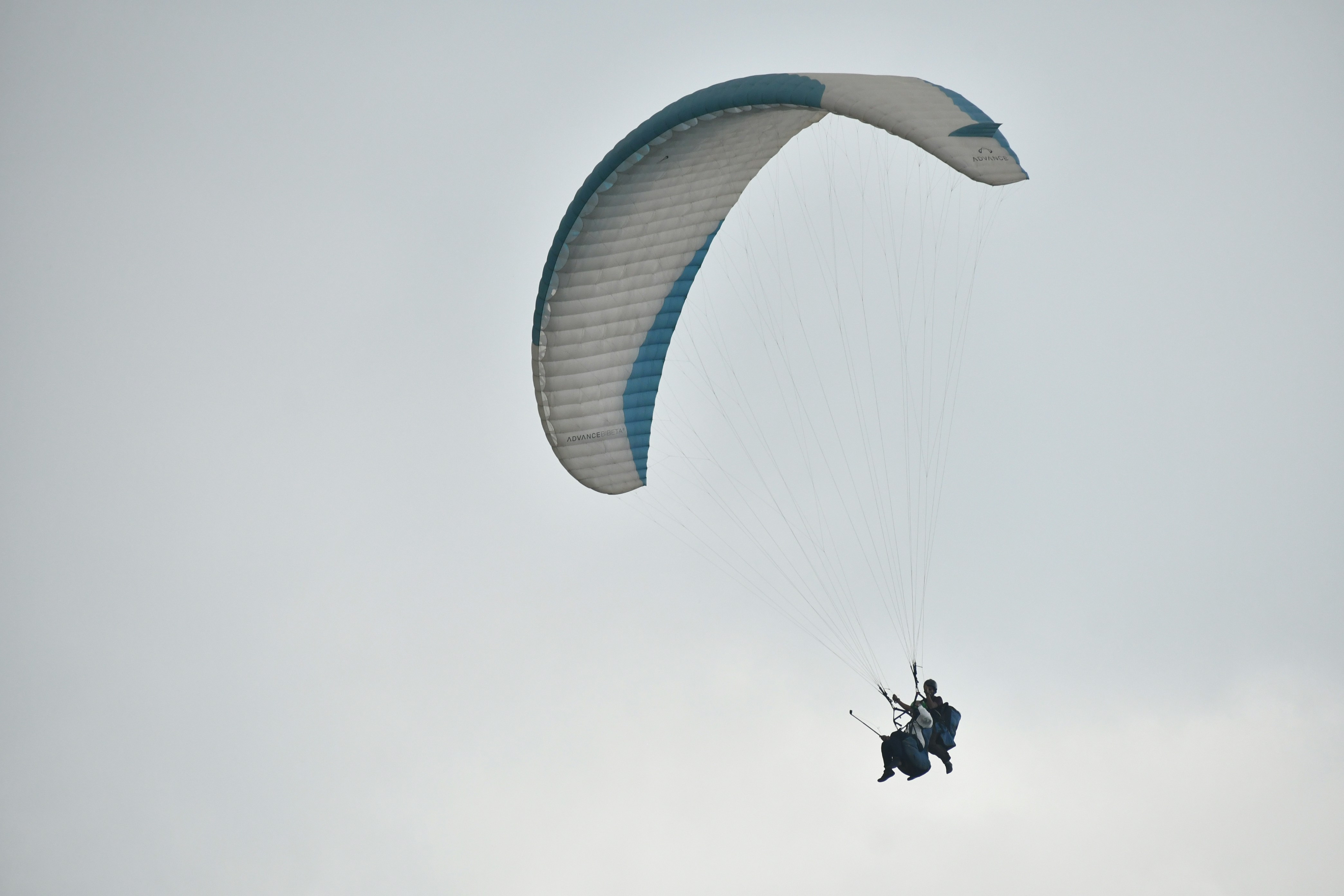 Soaring Duo: Harnessed Flight Beneath a Curved Wing