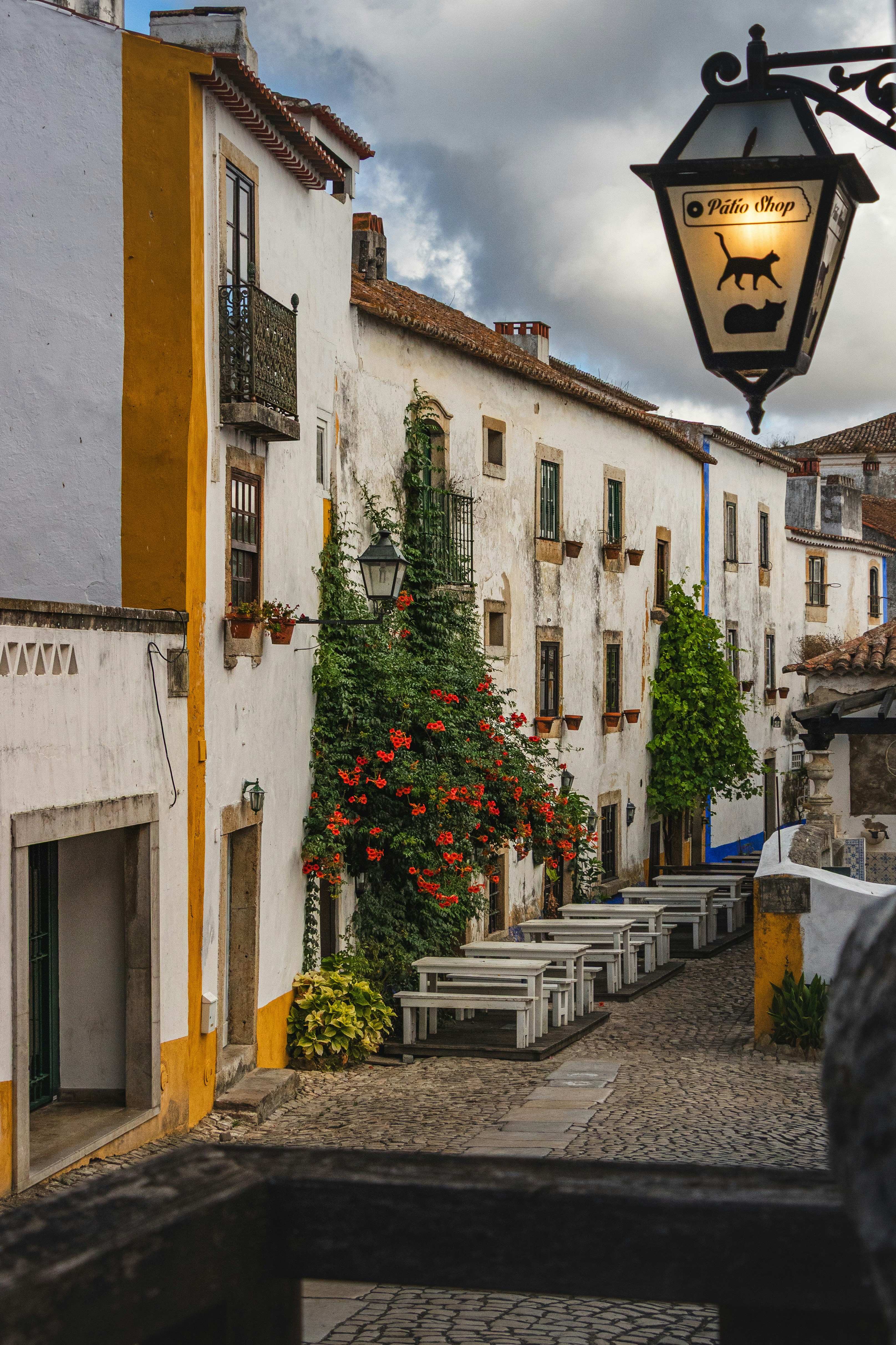Cobbled Lane of Blossoms and Lantern Light