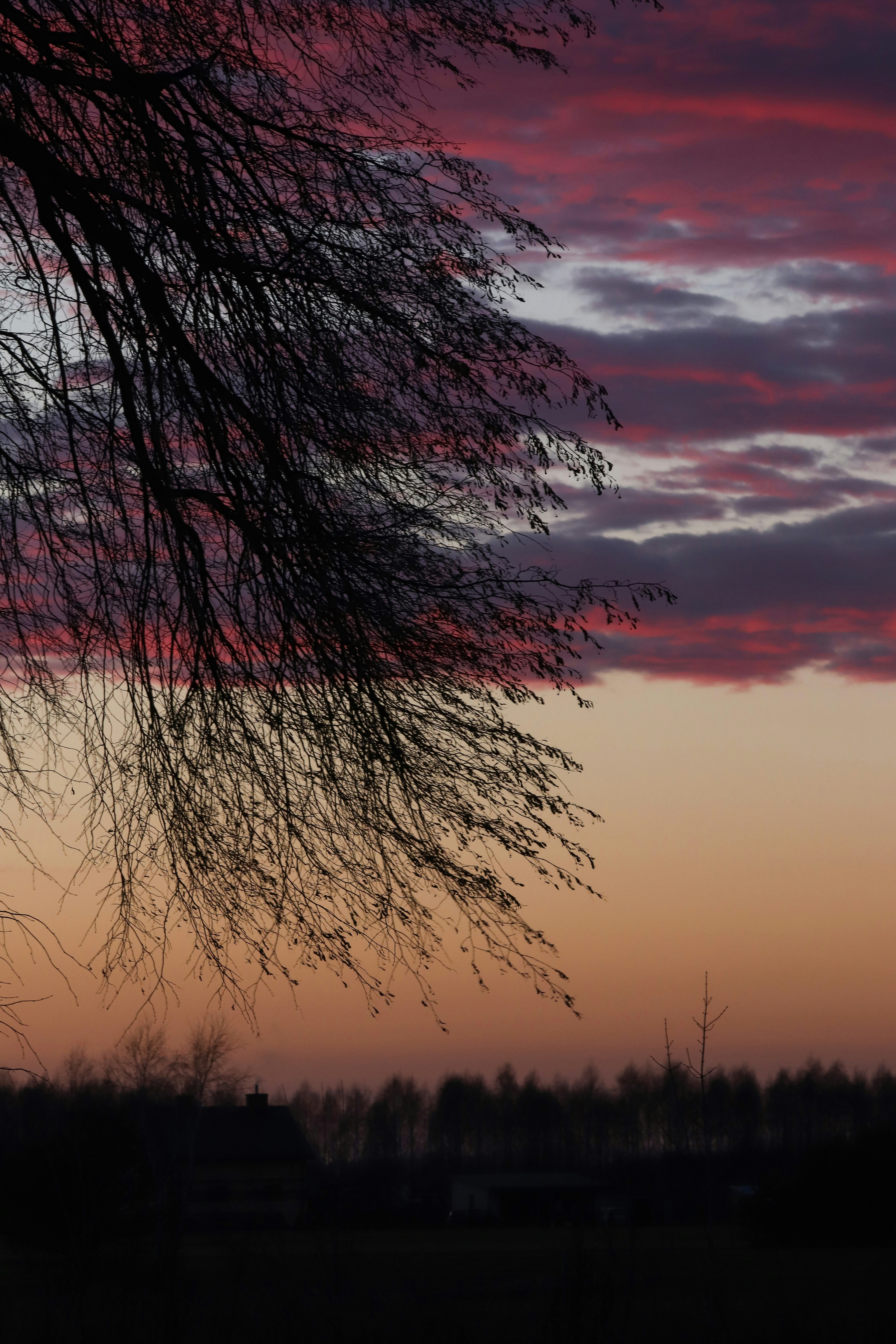 High Horizon Silhouette at Sunset