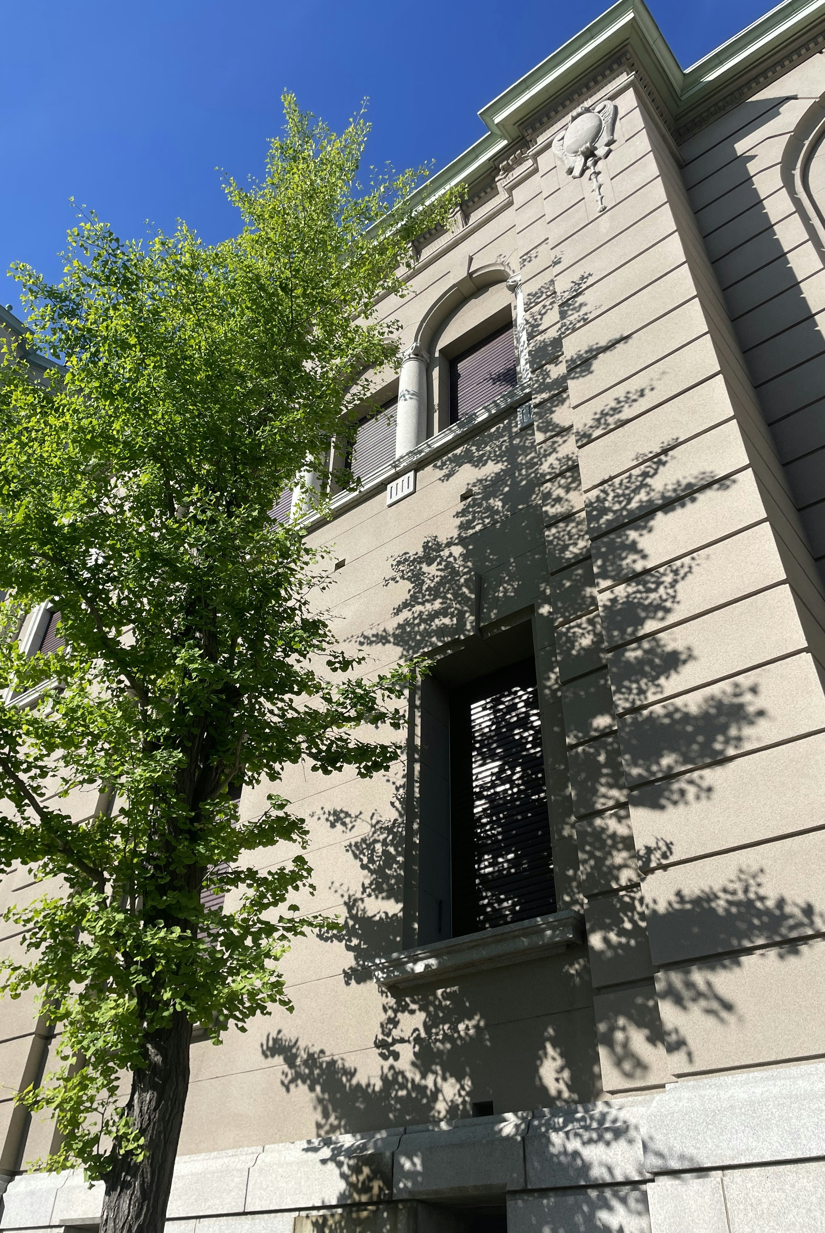Sunlit Facade with Tree Shadowed Geometry