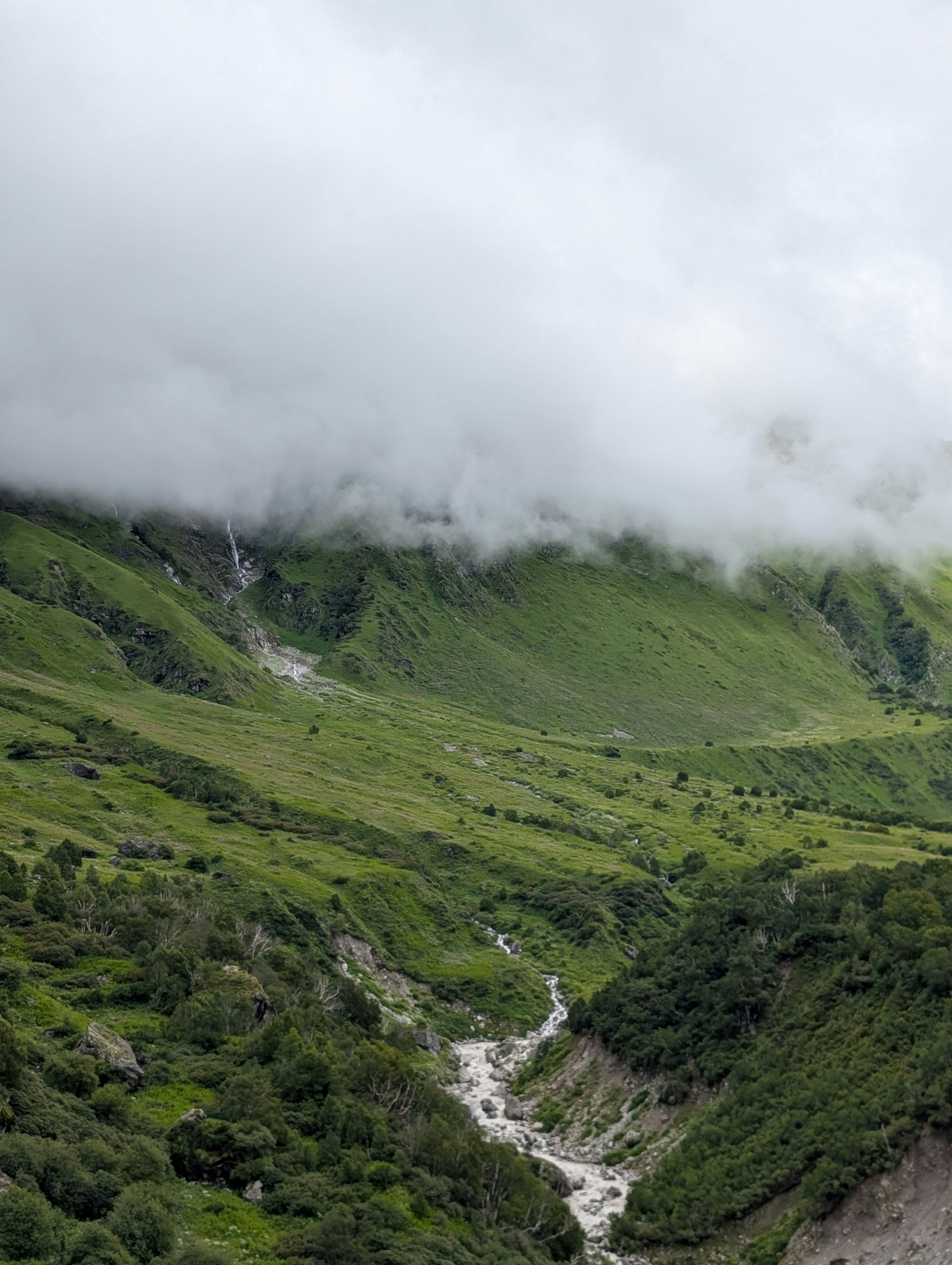 Misty Green Vale Descending into a Vein of Snow