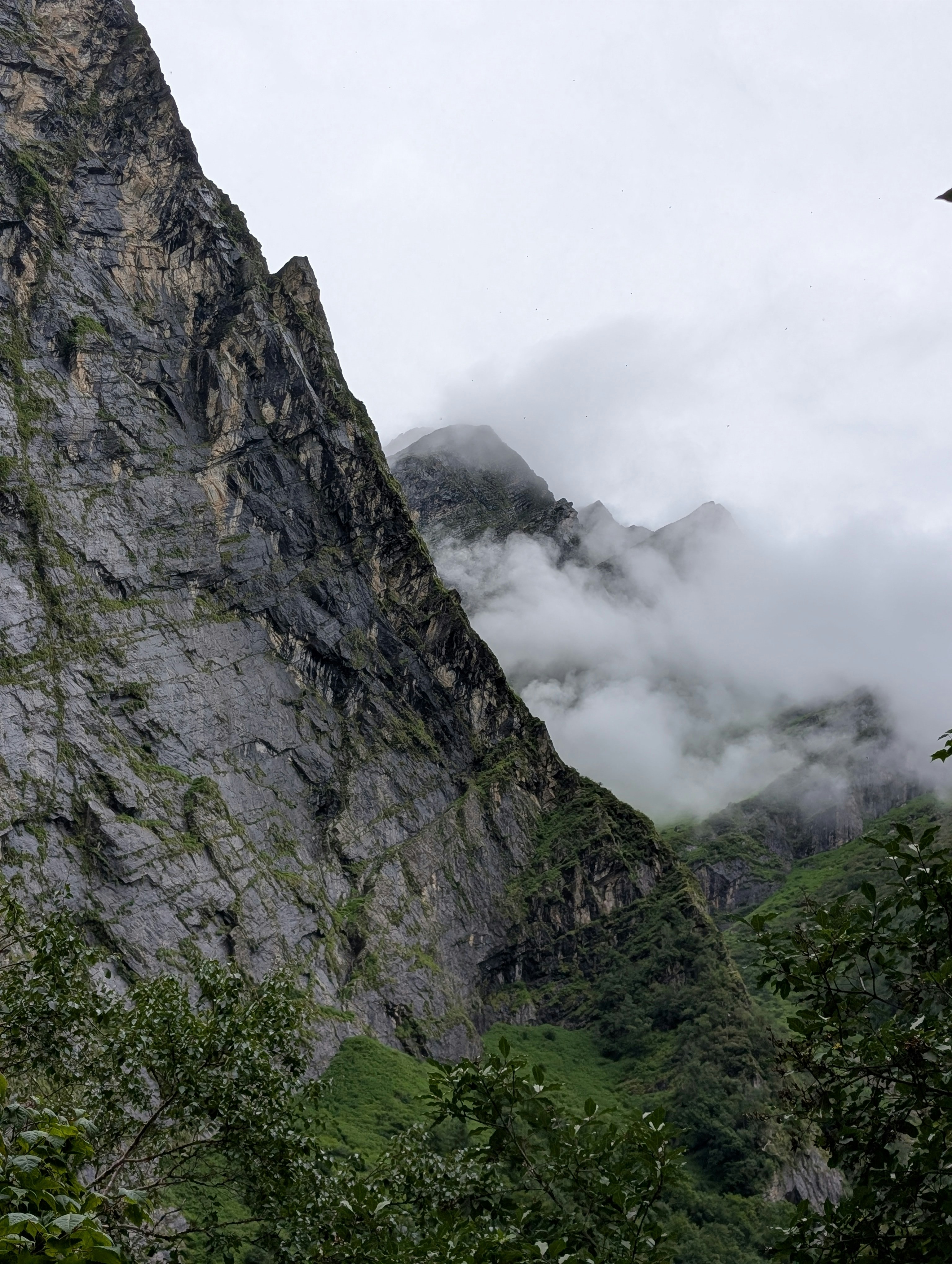 Steep Pass Through Mist: A Mountain Wall Meets Verdant Foothills
