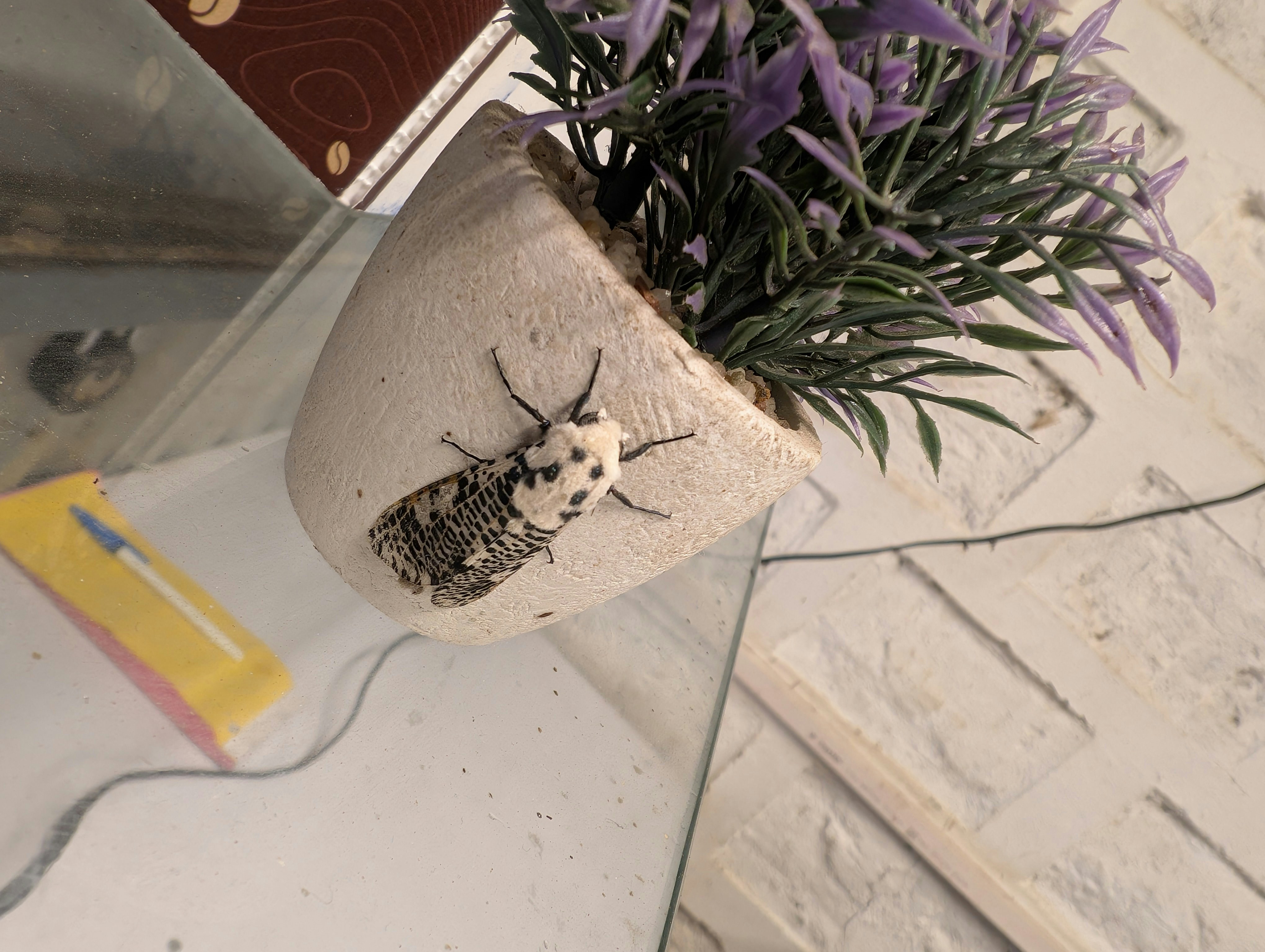Pot with purple-flowered plant and bark beetle motif centerpiece