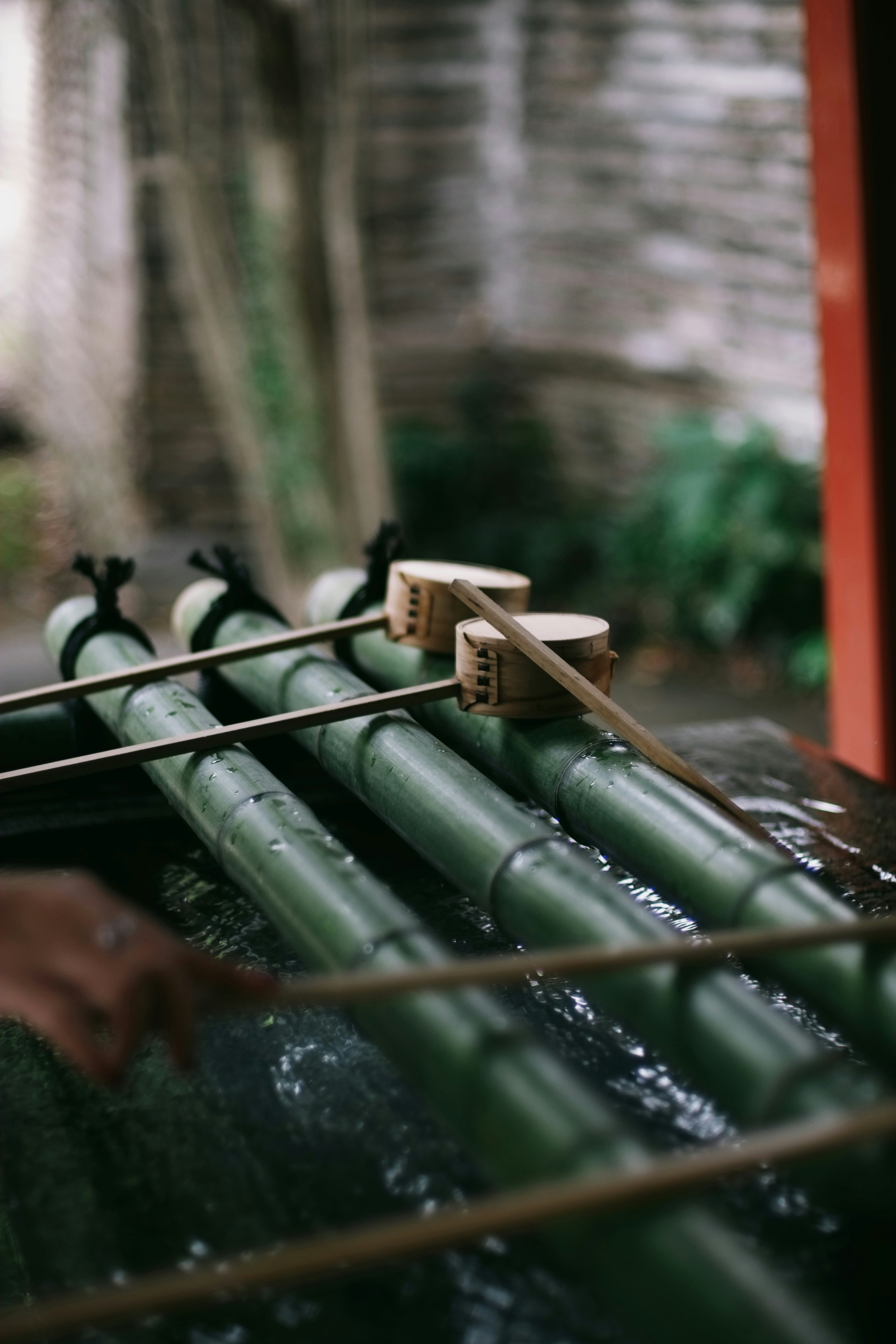 Close-up of green bamboo stalks laid across a water-filled trough with wooden clamps and wet surfaces, suggesting a tranquil, traditional setting.