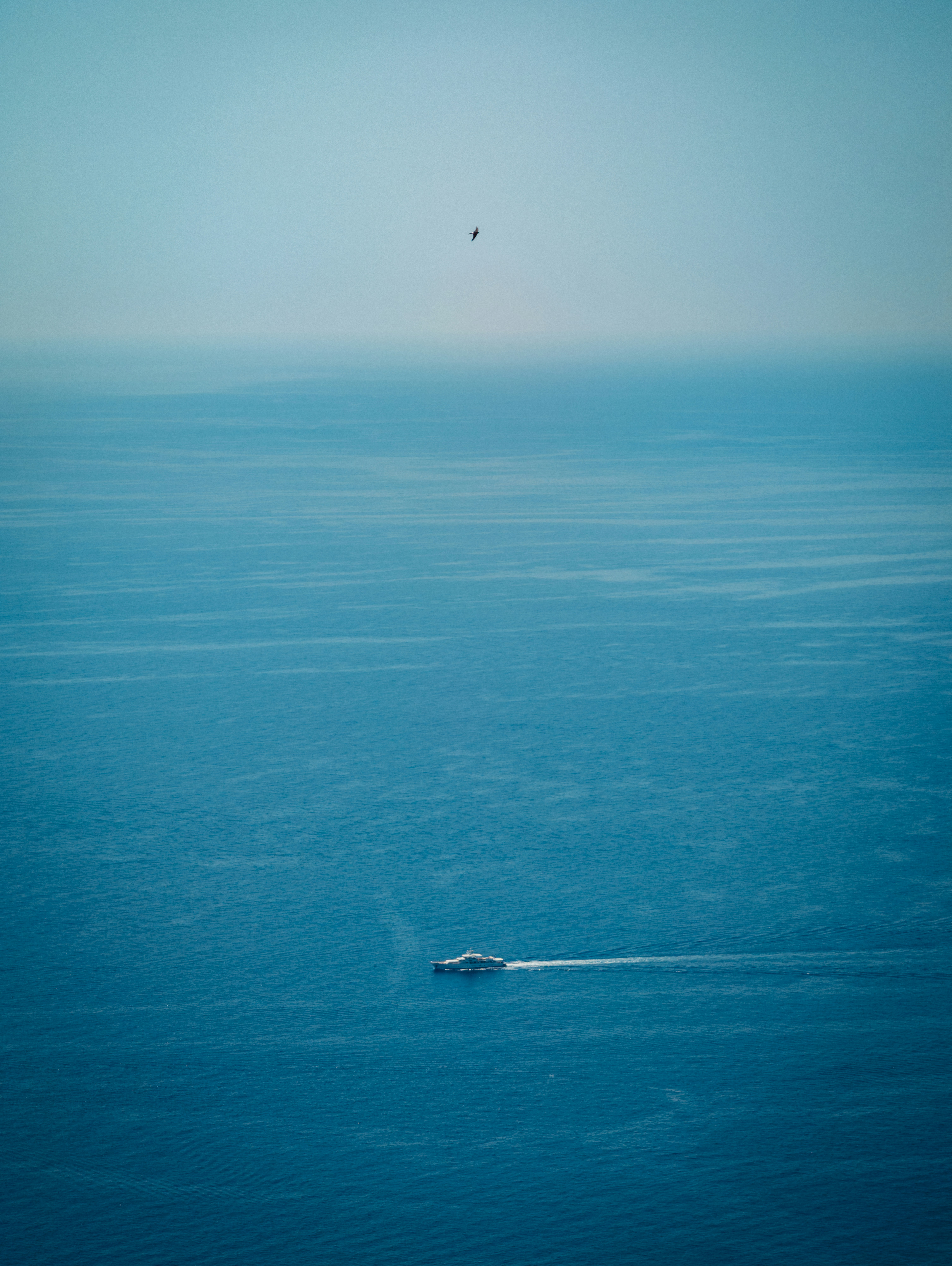 Midnight Blue Vessel in an Expansive Sea