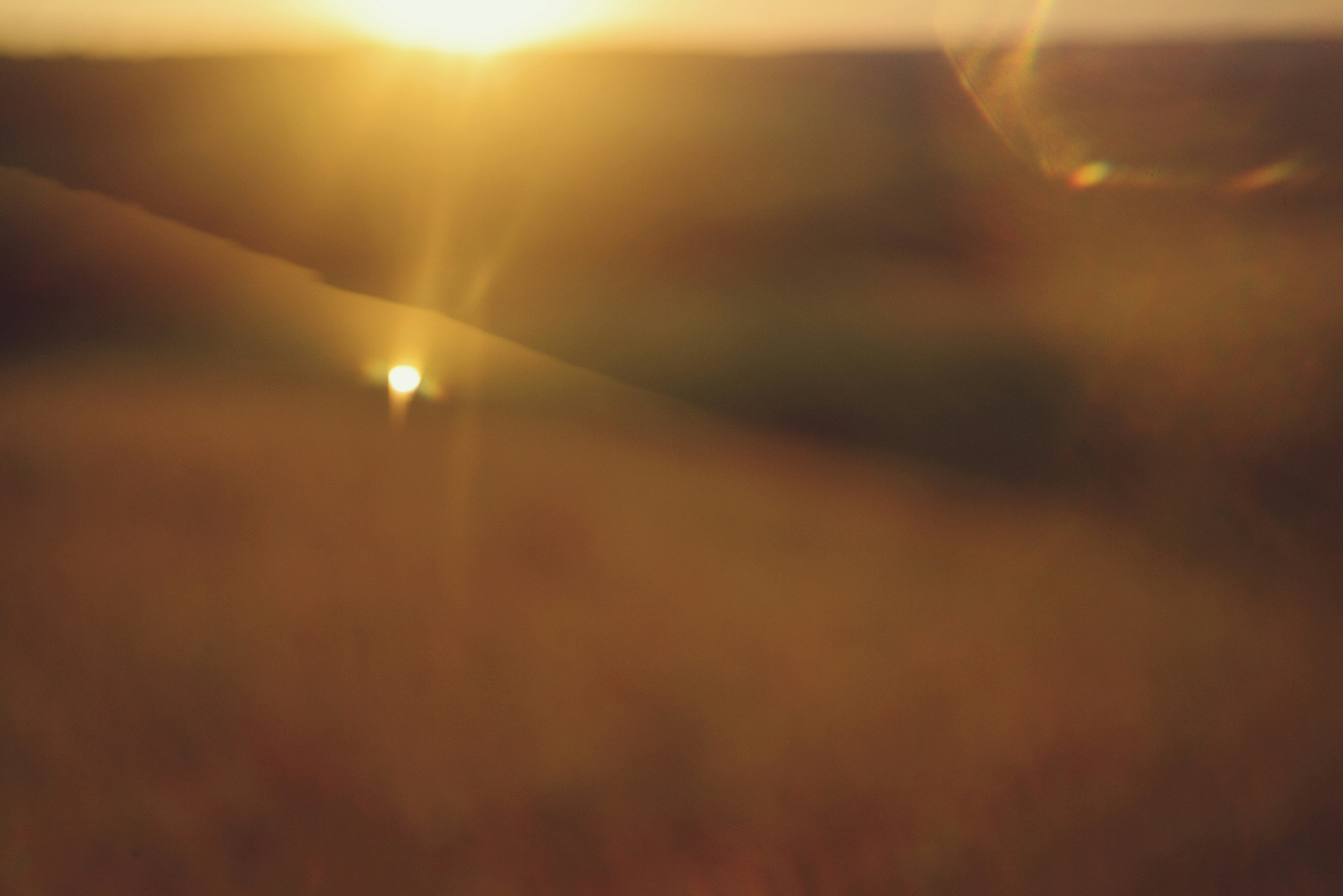 Blurred Horizon: Golden Hour Haze and a Glint