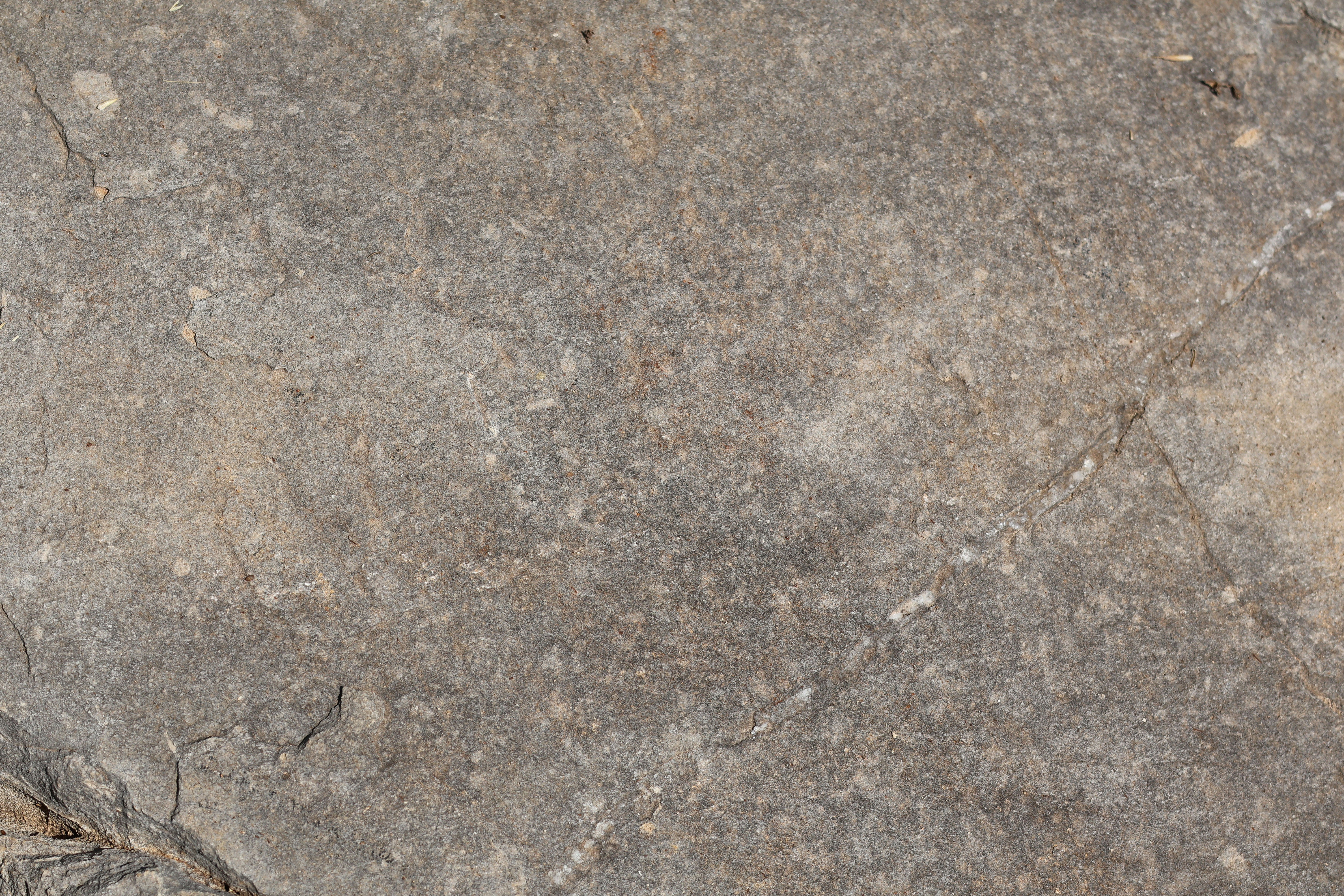 Quiet Sepia-Rock: A Close Look at Stone Texture and Veins