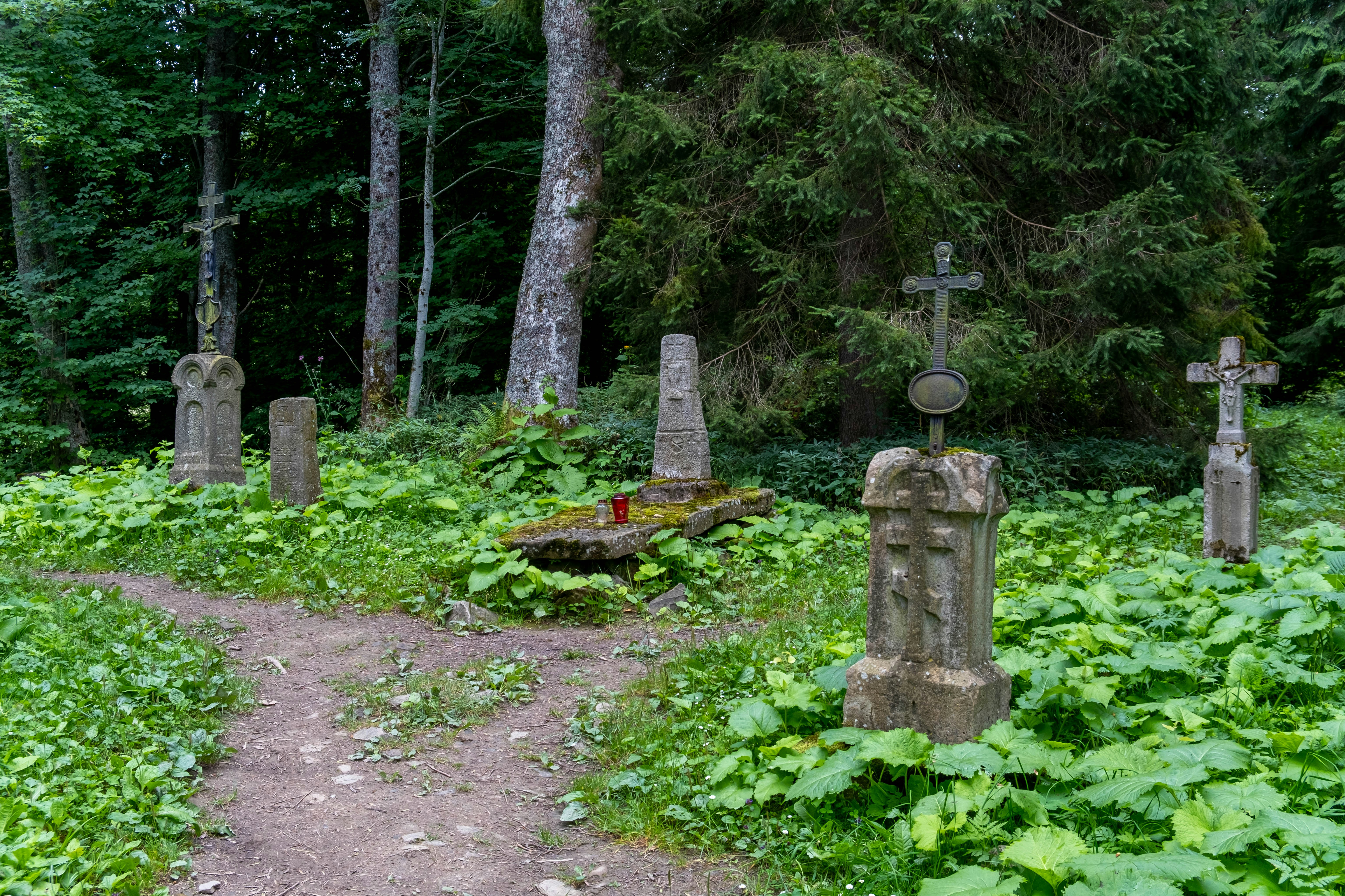 Whispering Stones in a Quiet Forest Cemetery