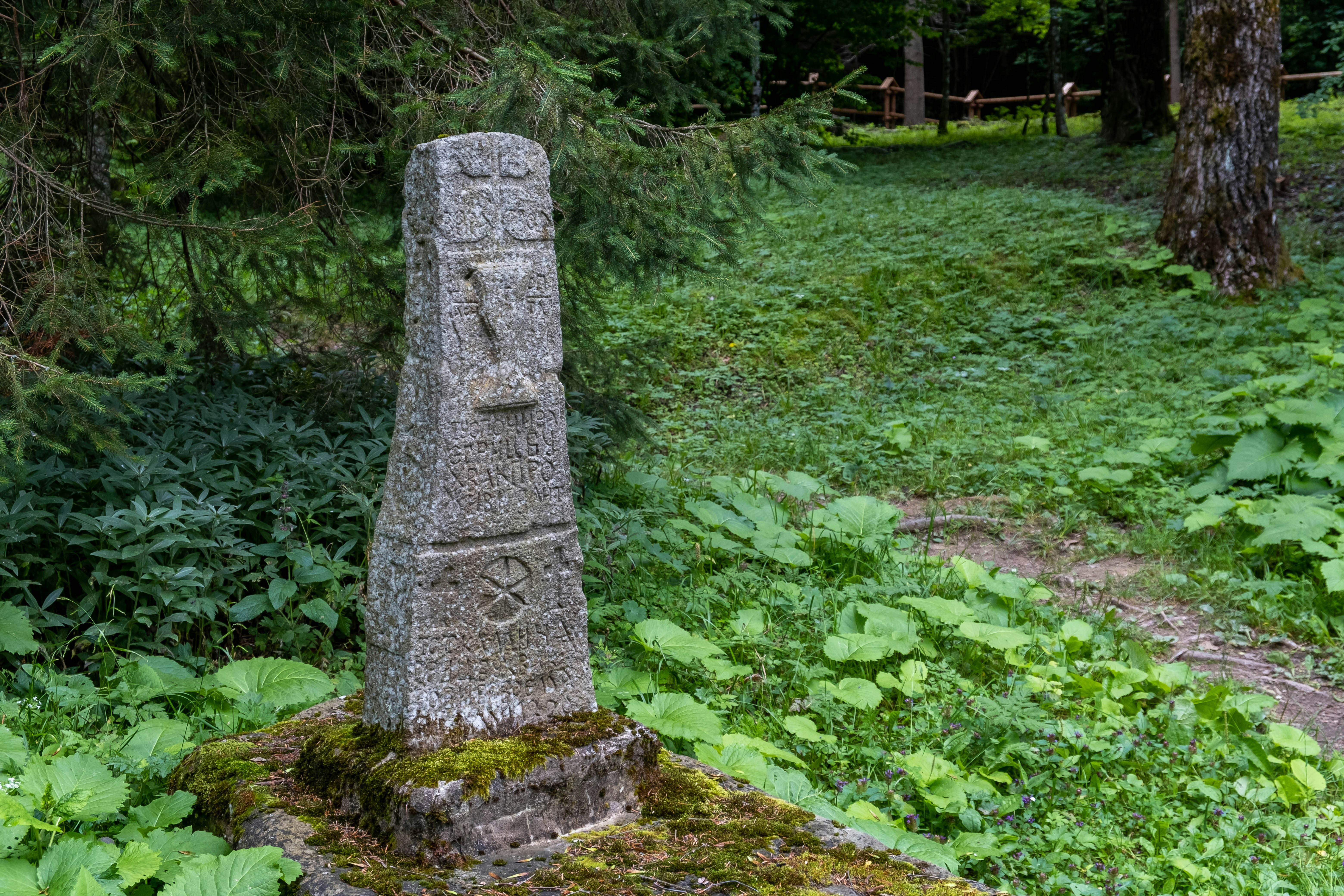Weathered stone sentinel in a mossy forest clearing