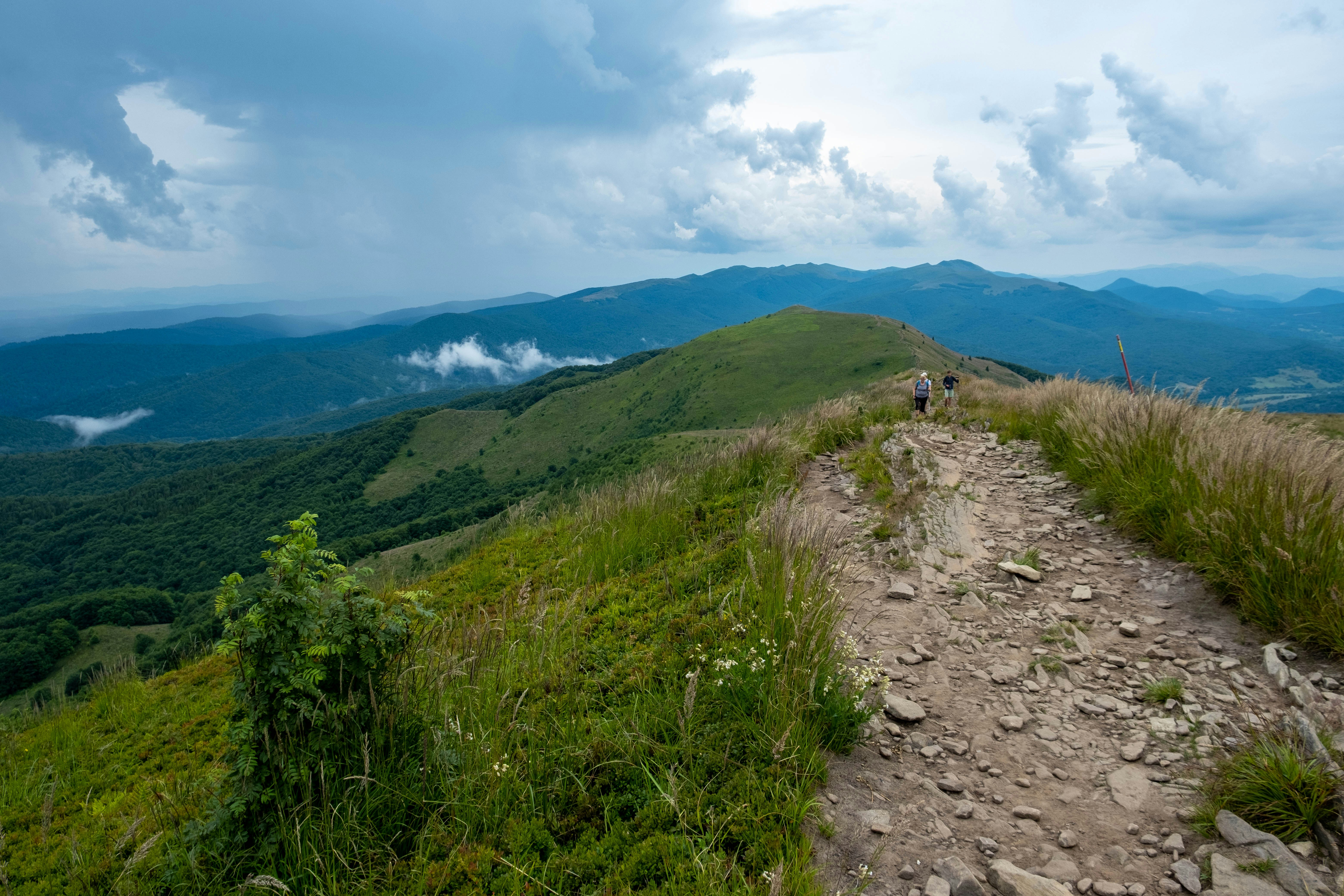 Trail to the Summit: A Rugged Path Through Misty Blue Ridge