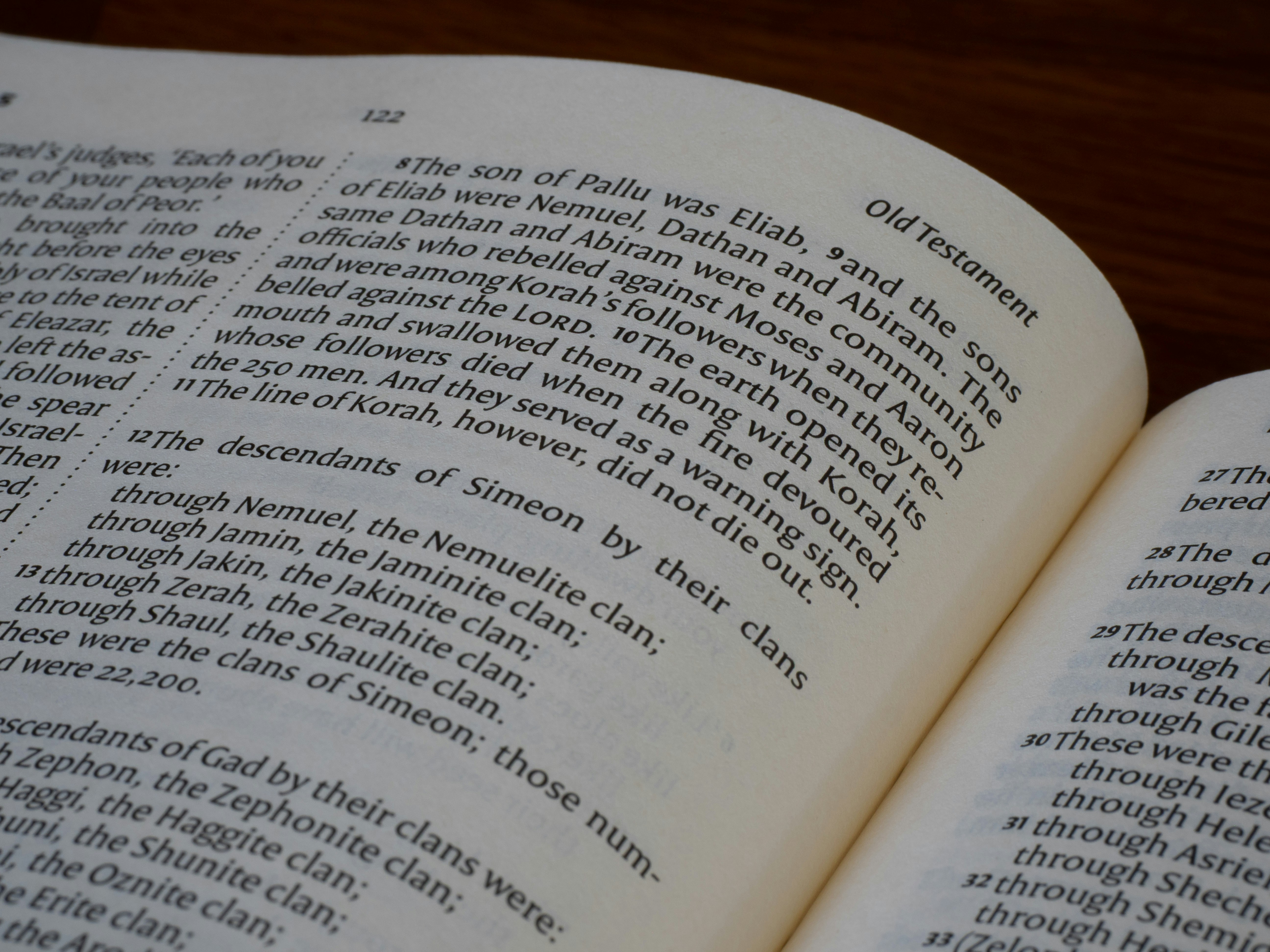 Riveted Margins: An Open Book of Ancient Texts
