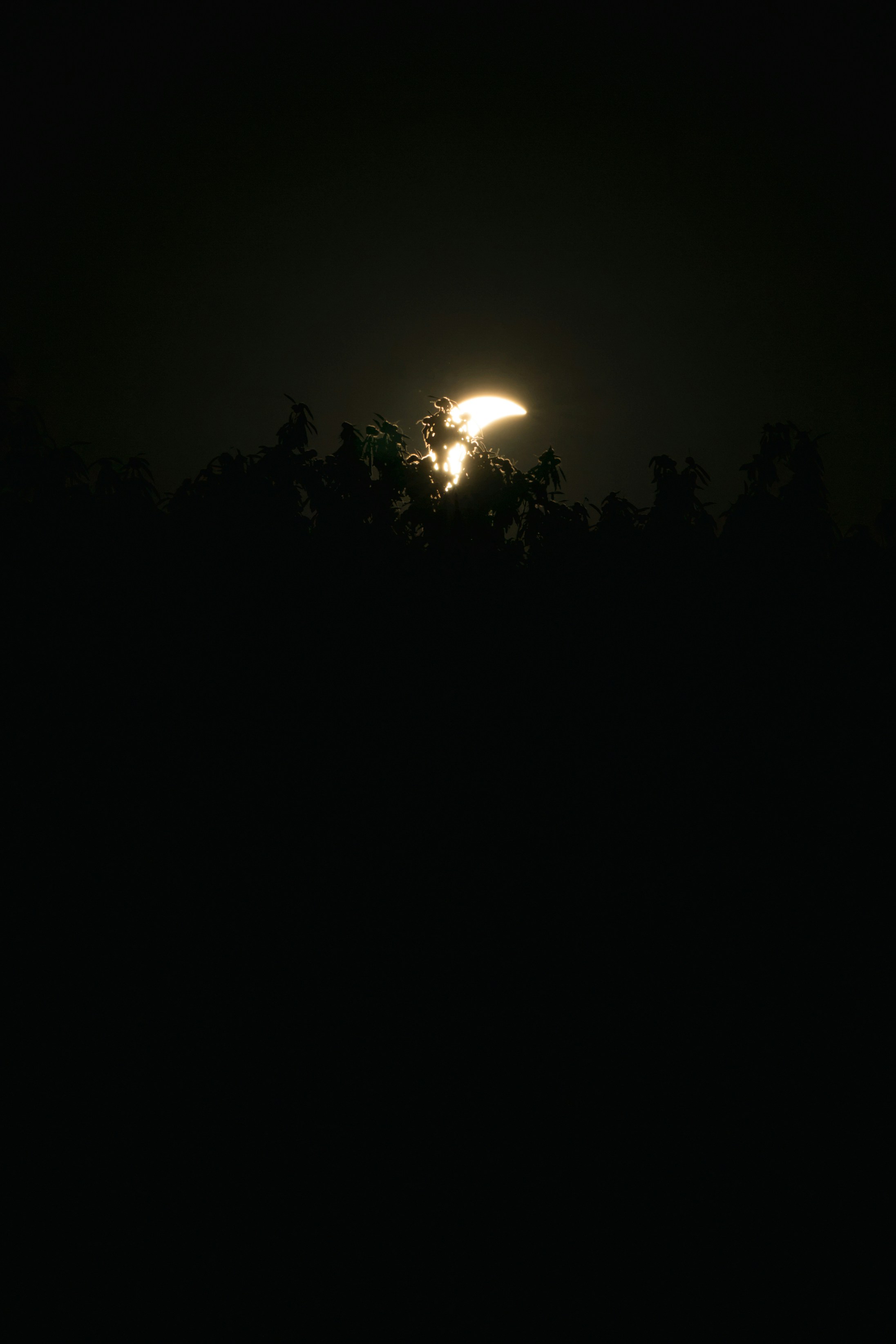 UK solar eclipse - 2026