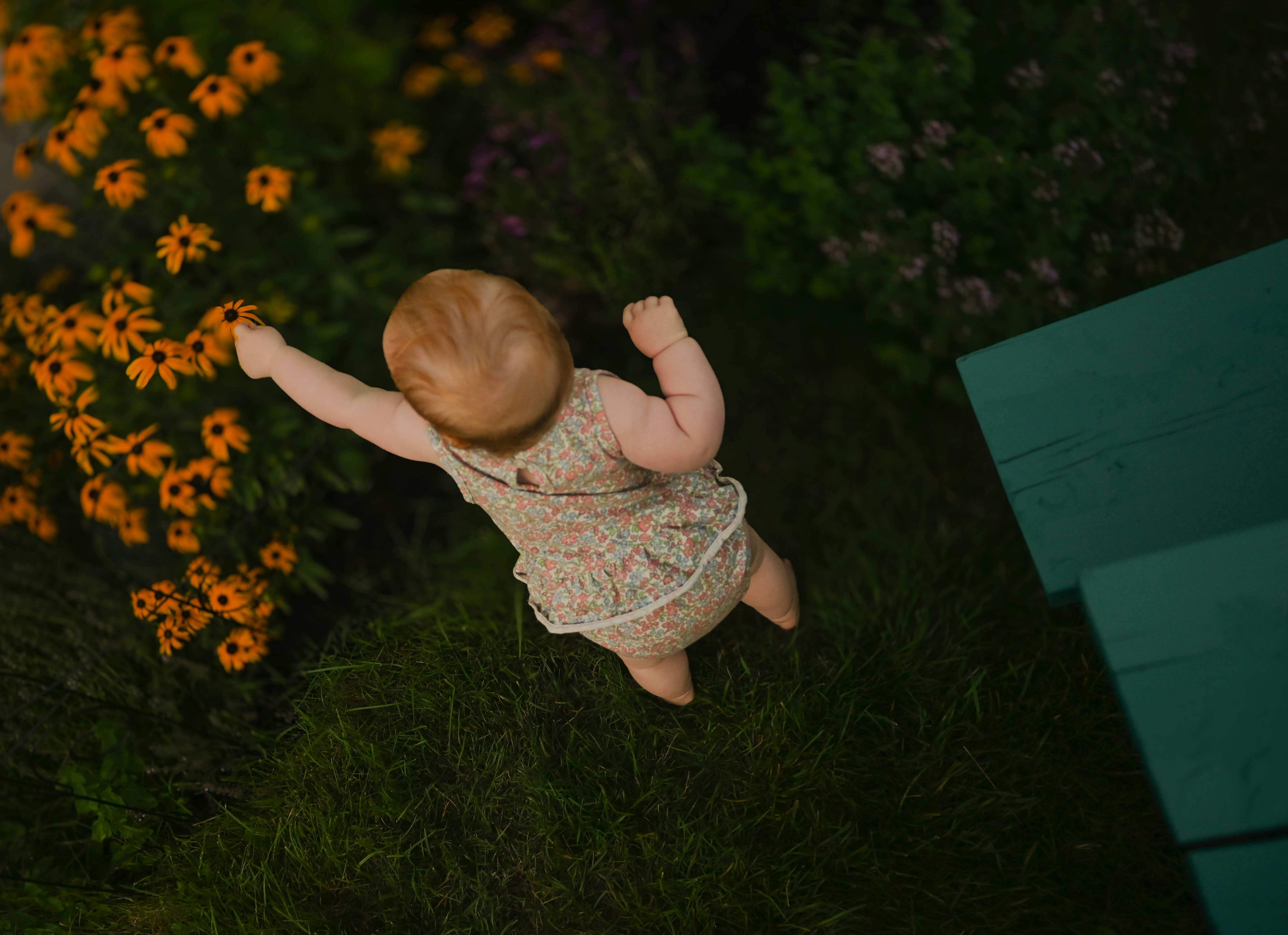 Photo by K Atkinson with Nikon Z5