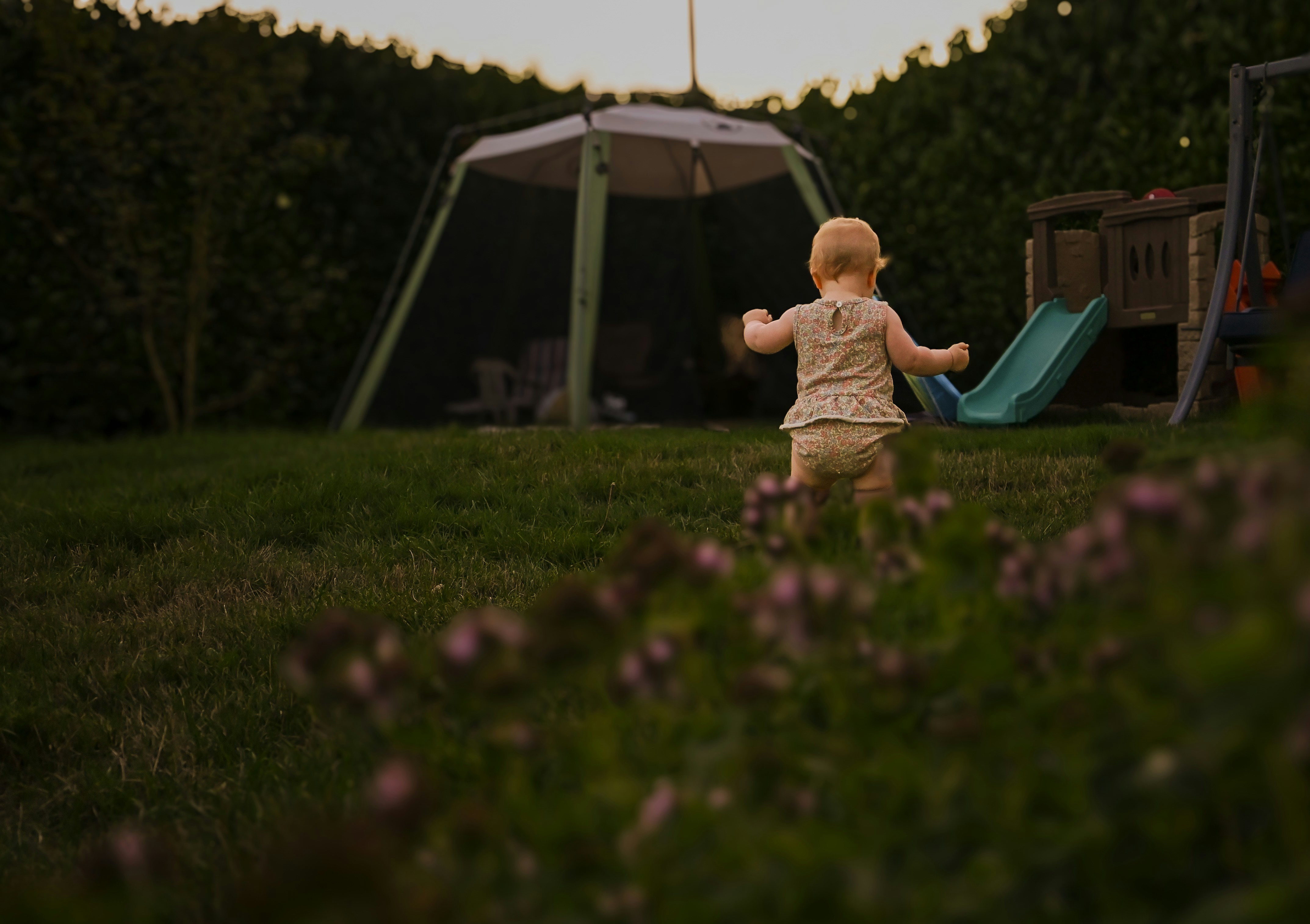 A baby in a floral romper walking across a grassy backyard at golden hour