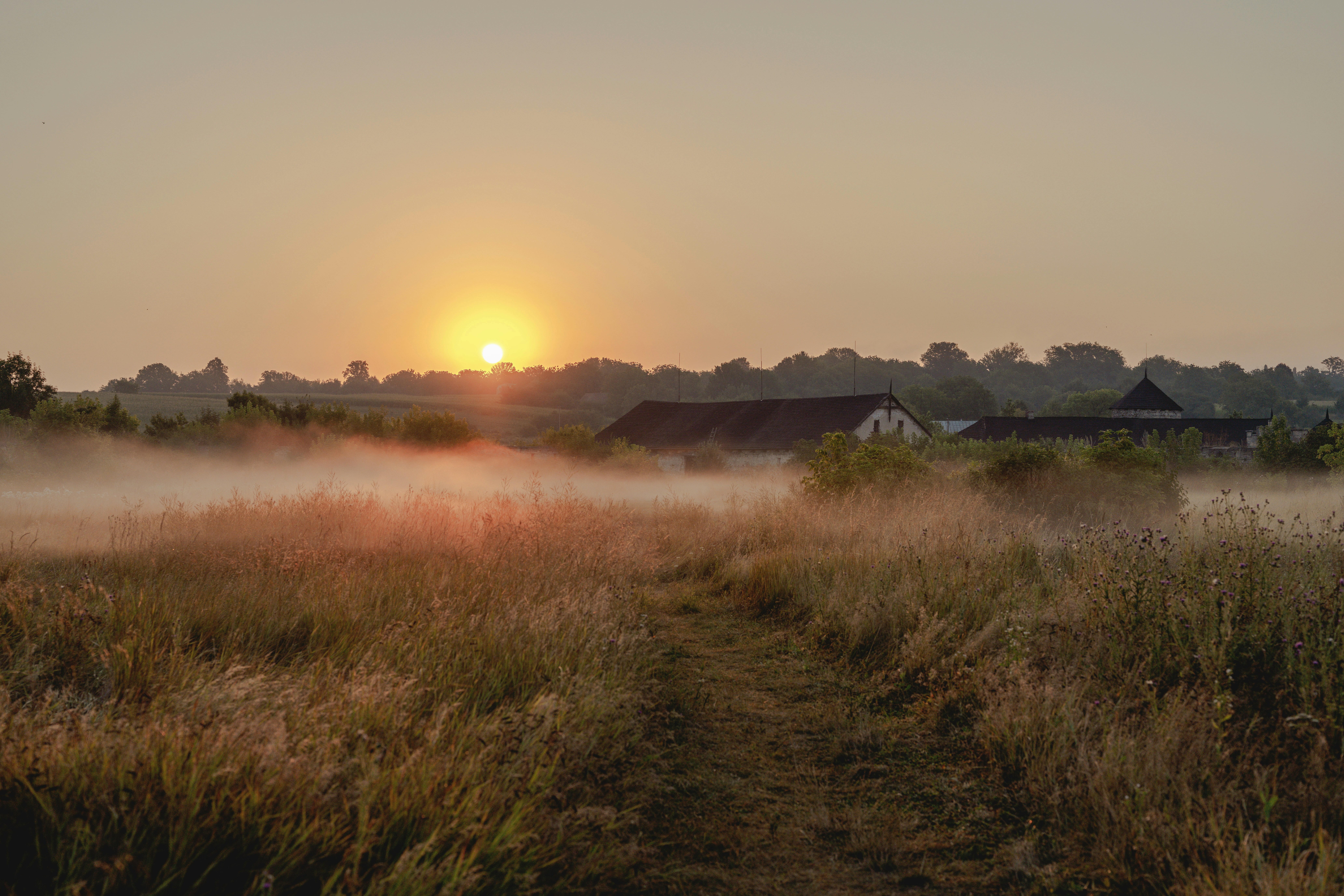 Dawn Trail Through Mist: A Rustic Oasis at First Light