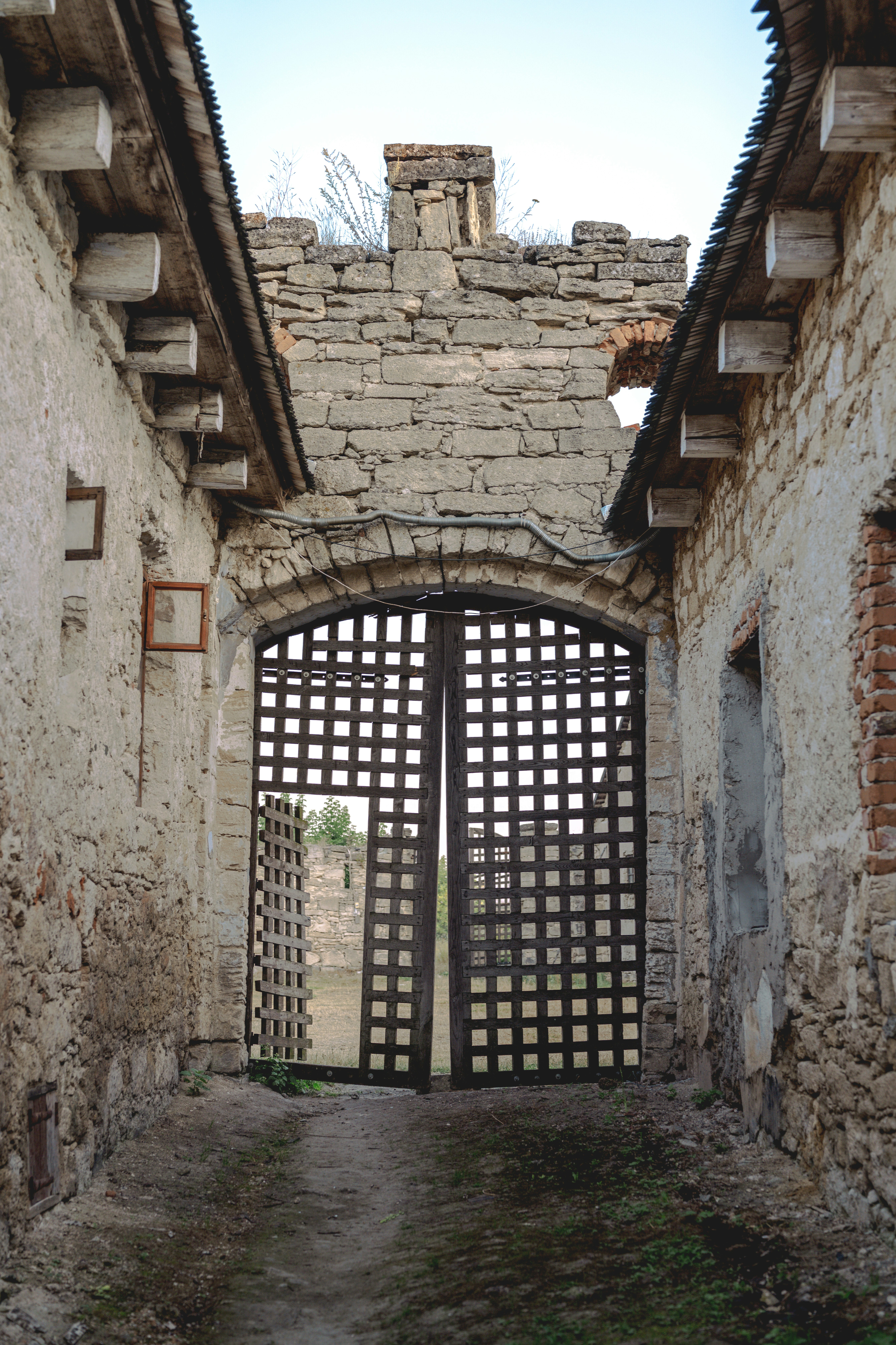 Gate to the Distant Garden