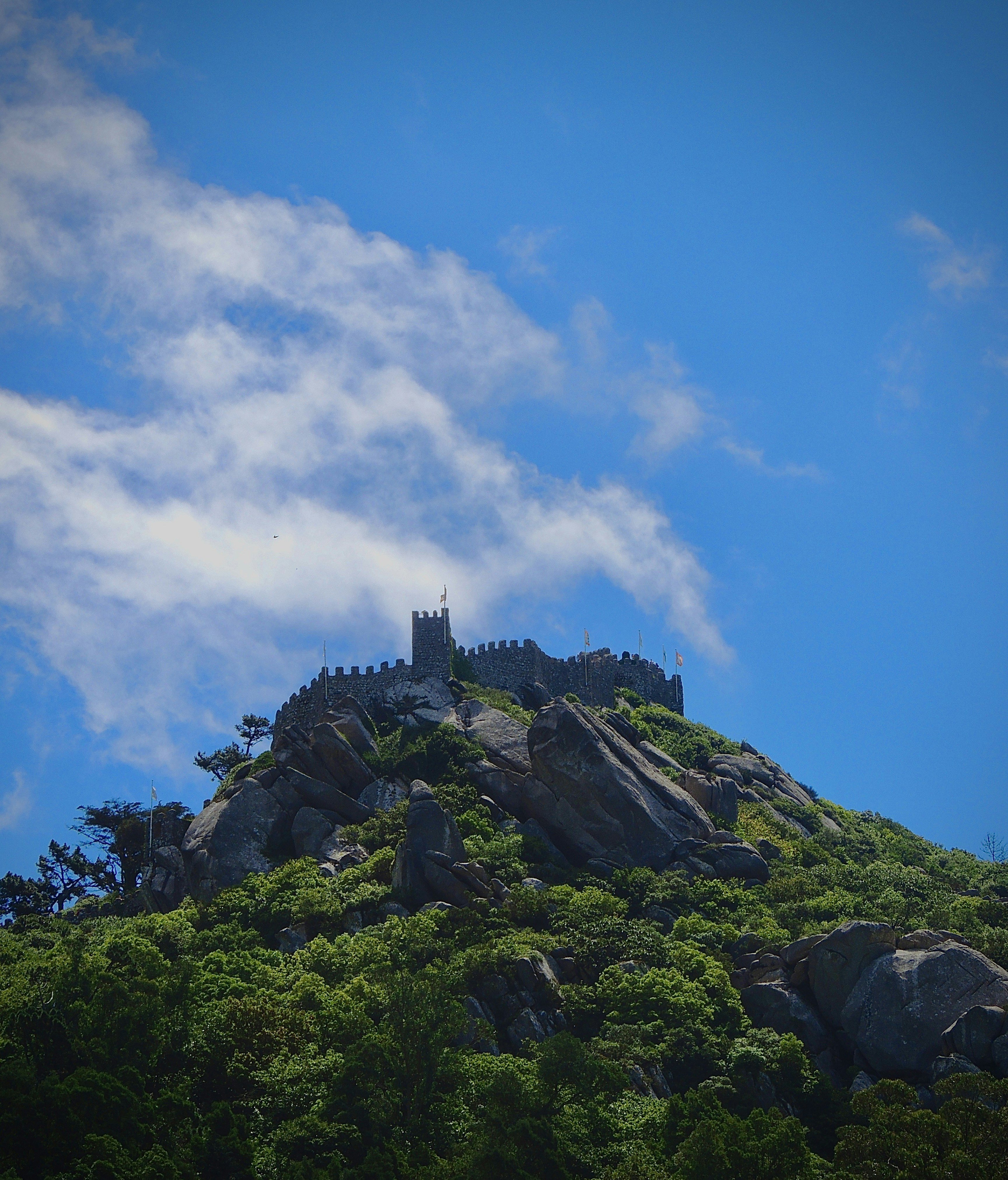 Castle on the Crest: A Stone Sentinels Overlooking the Green Span