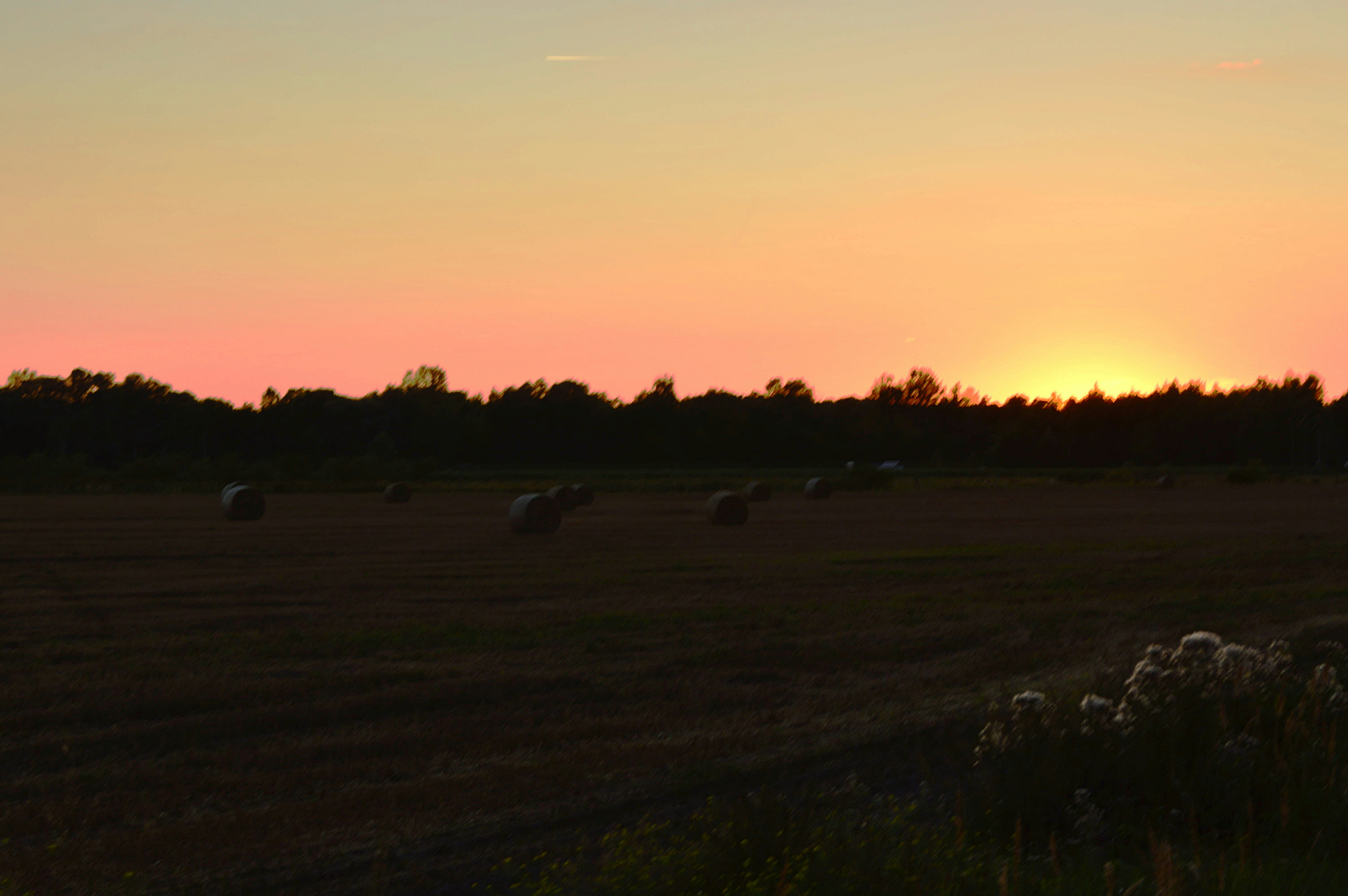 Sunset Silhouette over Baled Fields