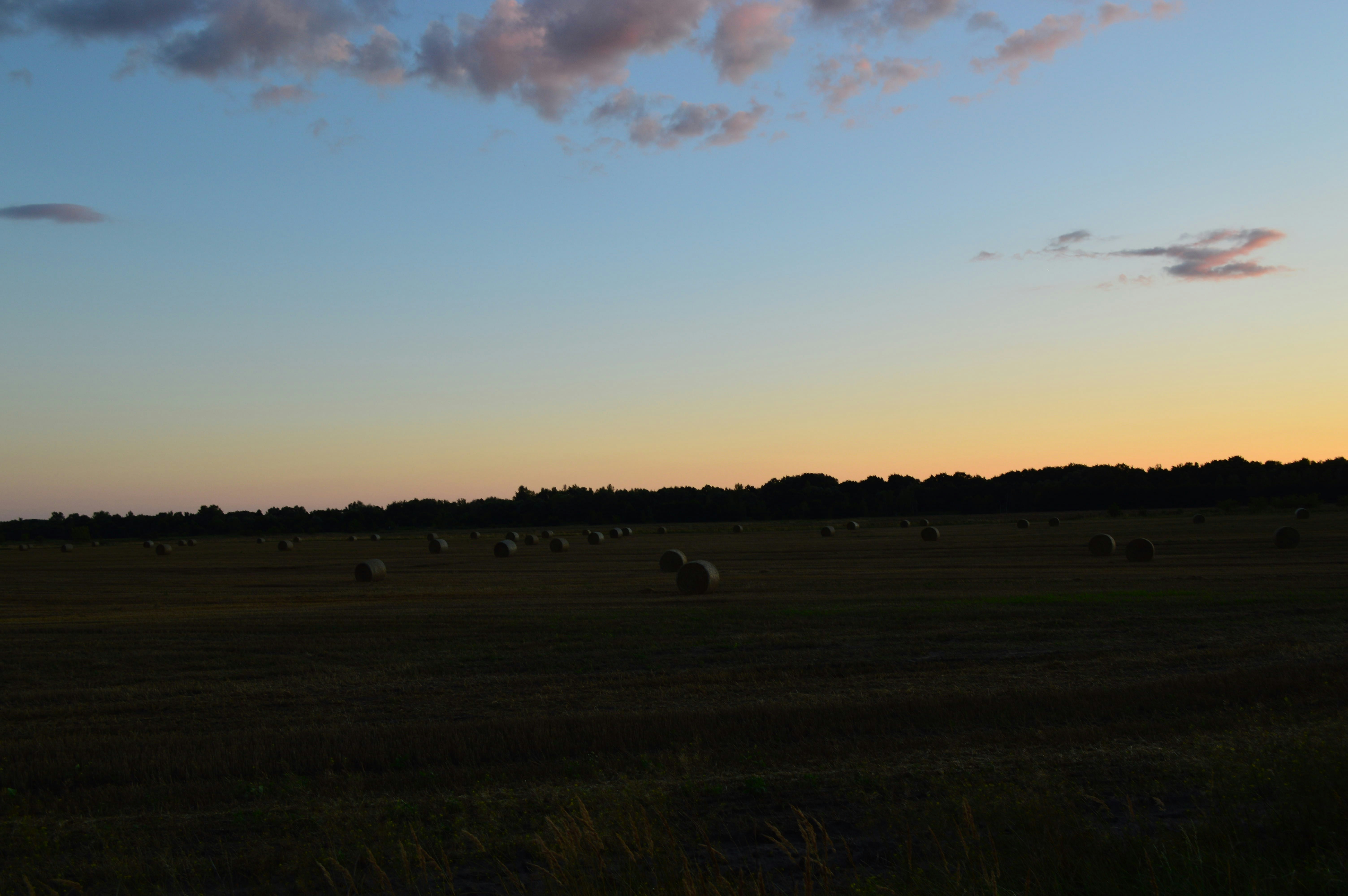Sunset-lit field with scattered round hay bales and a distant tree line; calm rural landscape underscored by a fading gradient sky.
