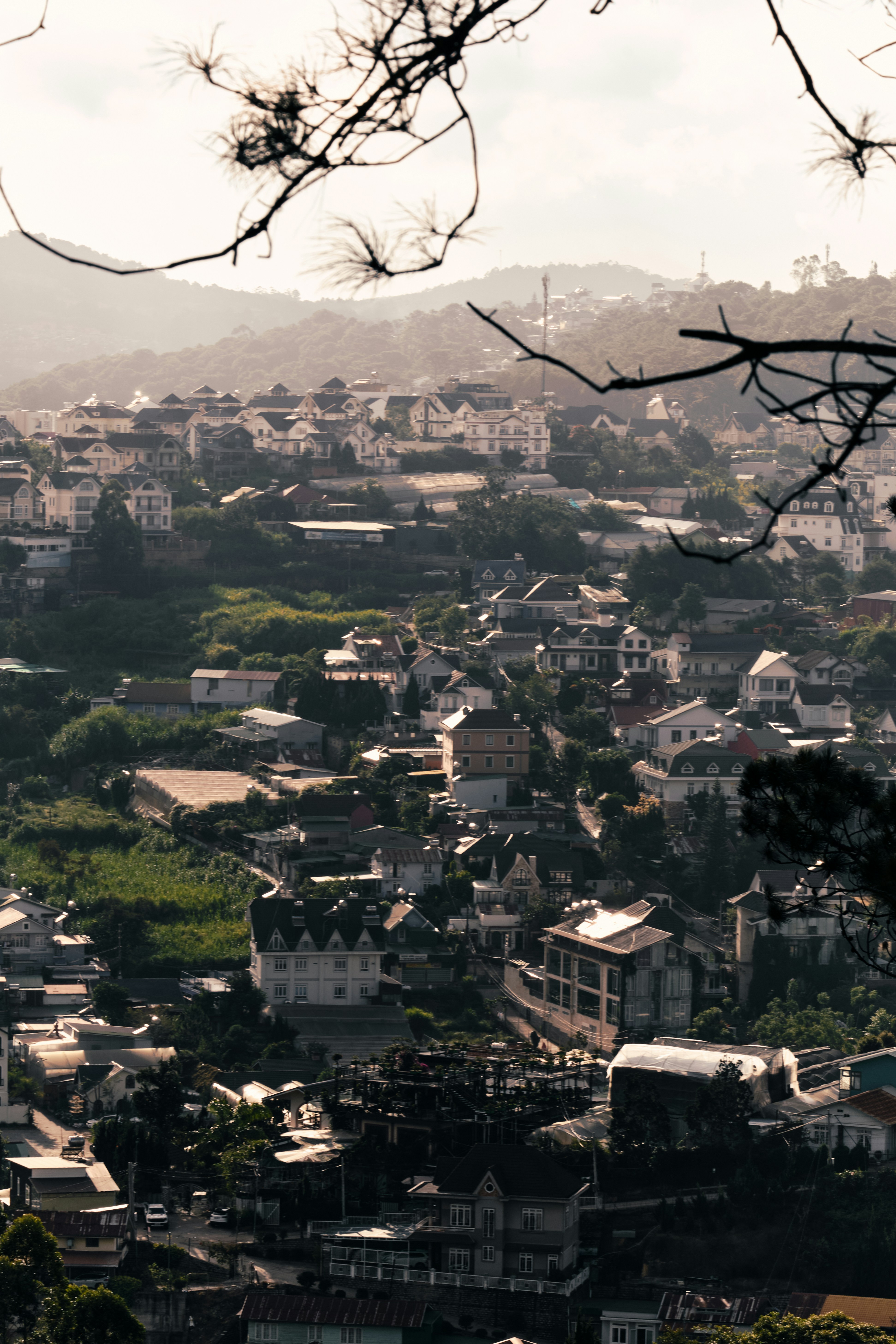 Aerial Village Tapestry from a Quiet Hill