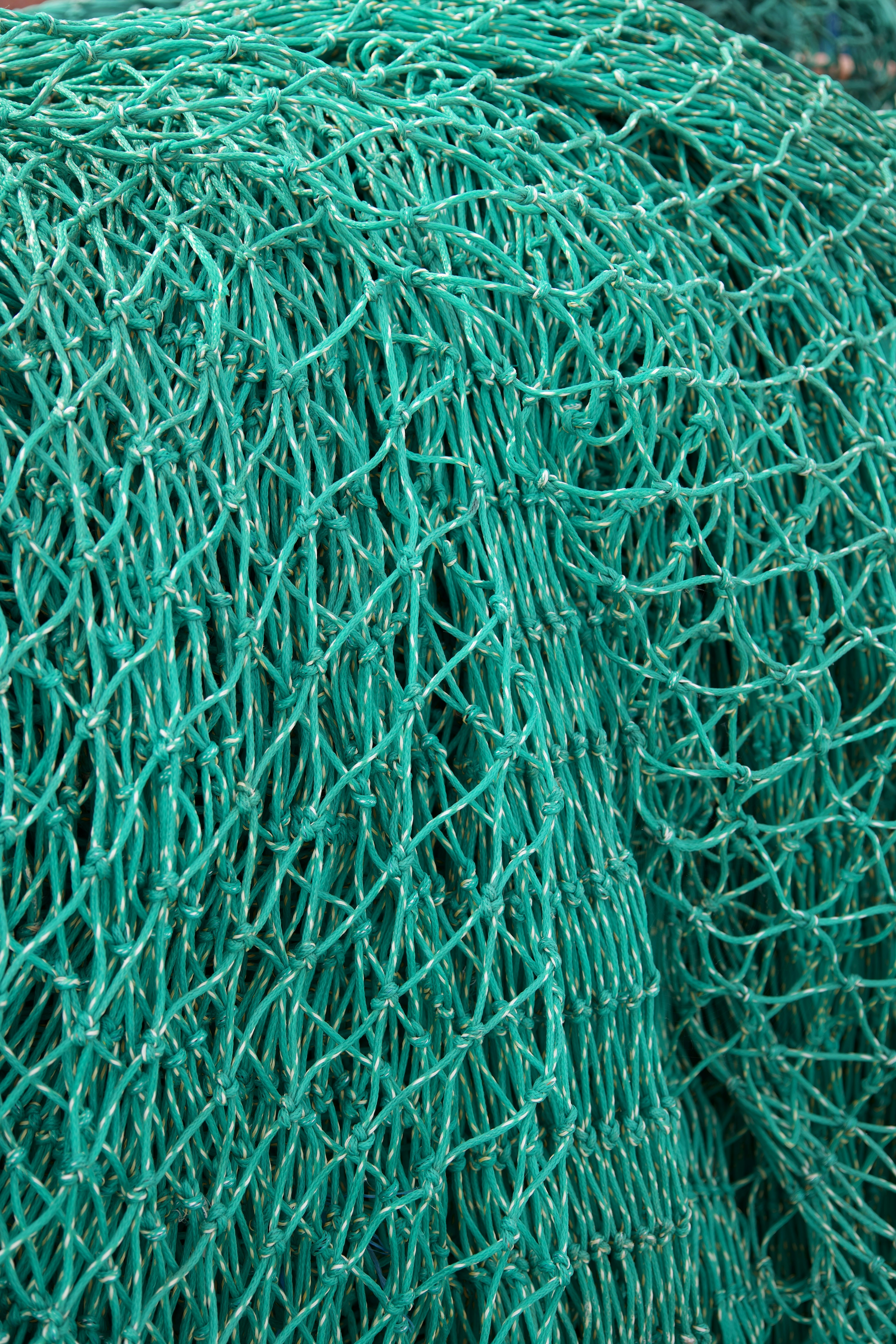 Teal Tangle: Close-Up of Wind-Tossed Netting