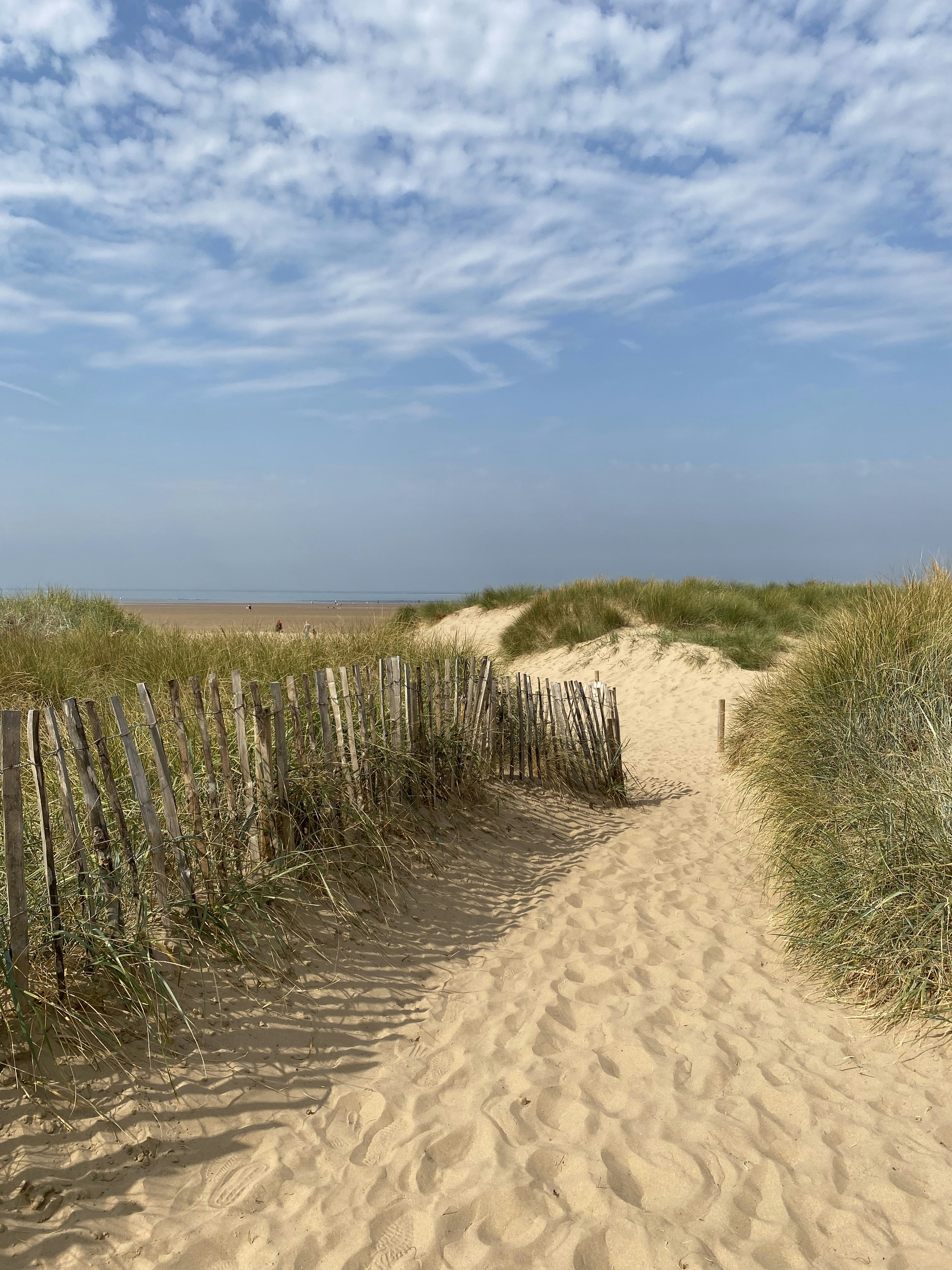 Dune Path to the Sea: A Sunlit Walk Through Beach Grasses