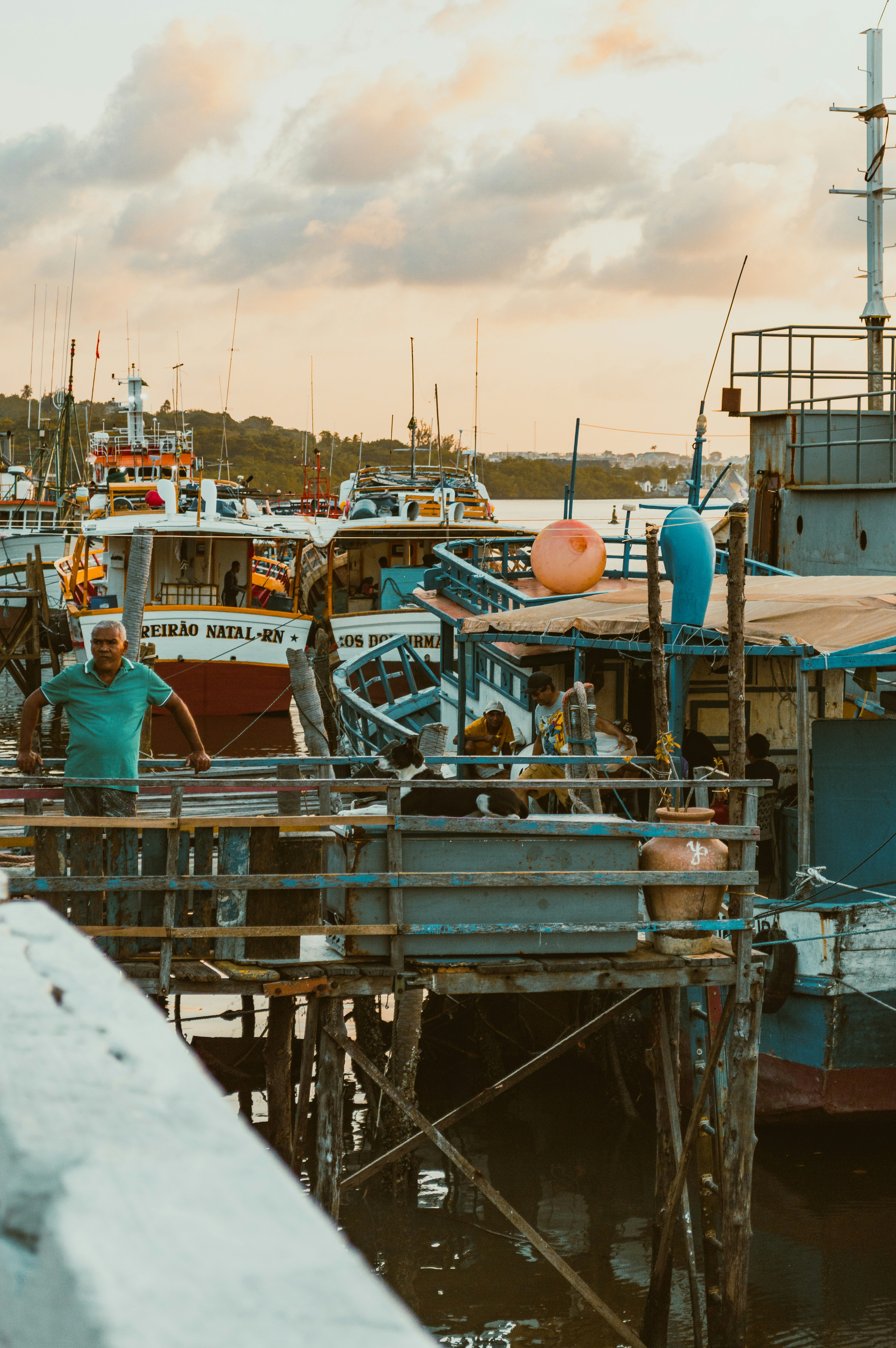 Harbor Docks at Golden Hour: A Quiet Burst of Activity