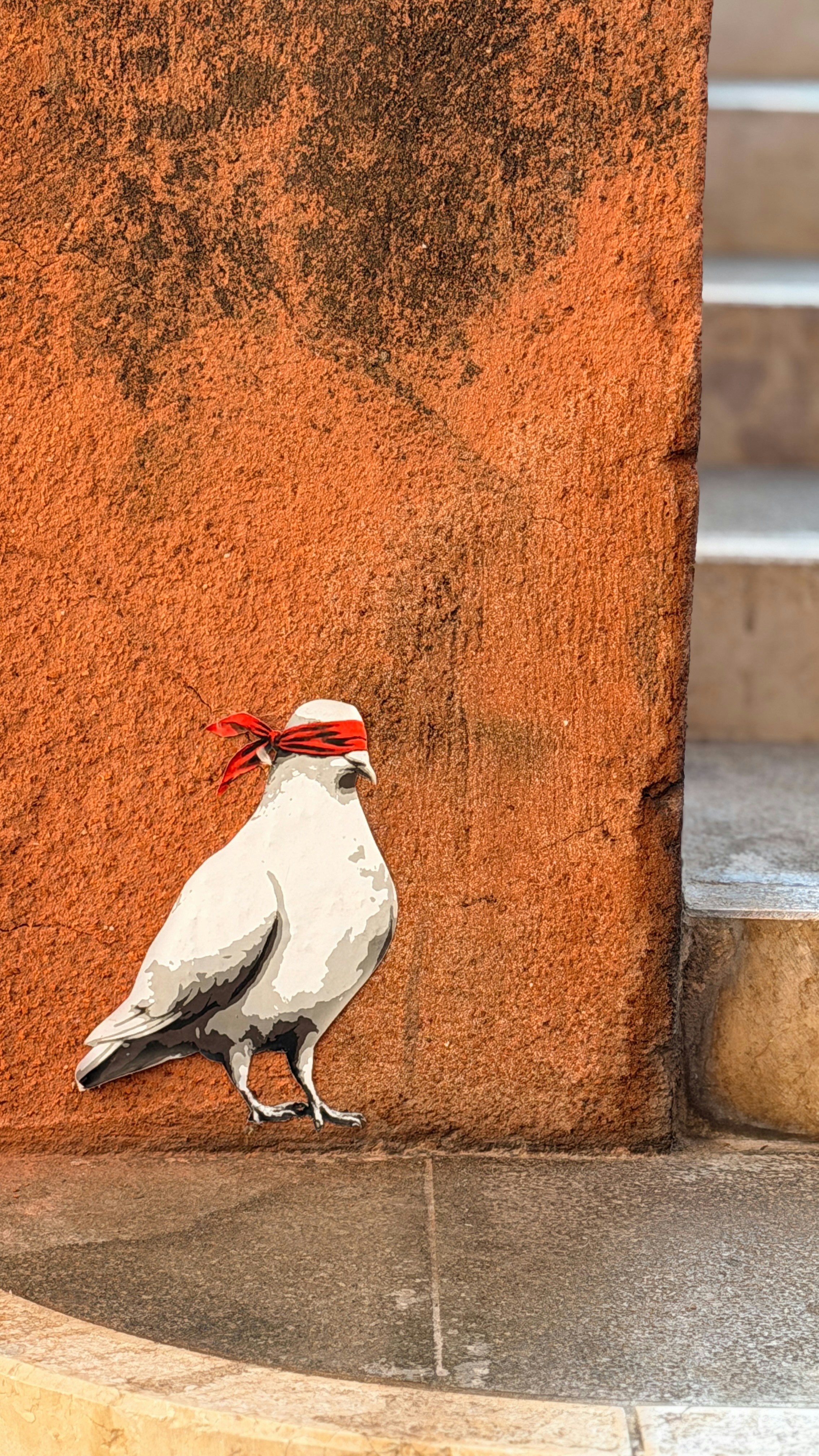 Red-banded White Dove Inspires a Quiet Moment by the Staircase