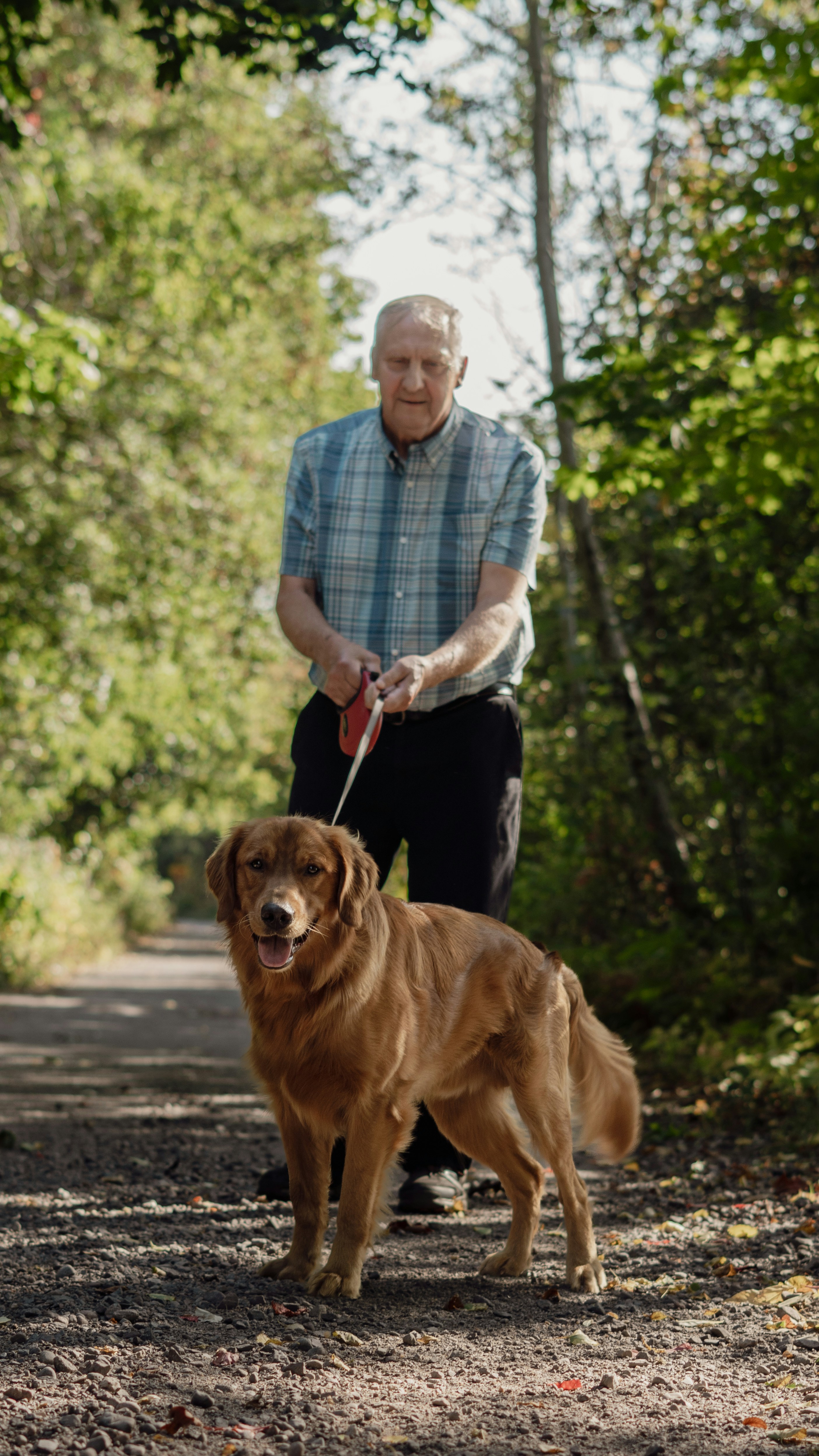 Tow Path Trust: An Elder Pet Portrait on a Sunny Walk