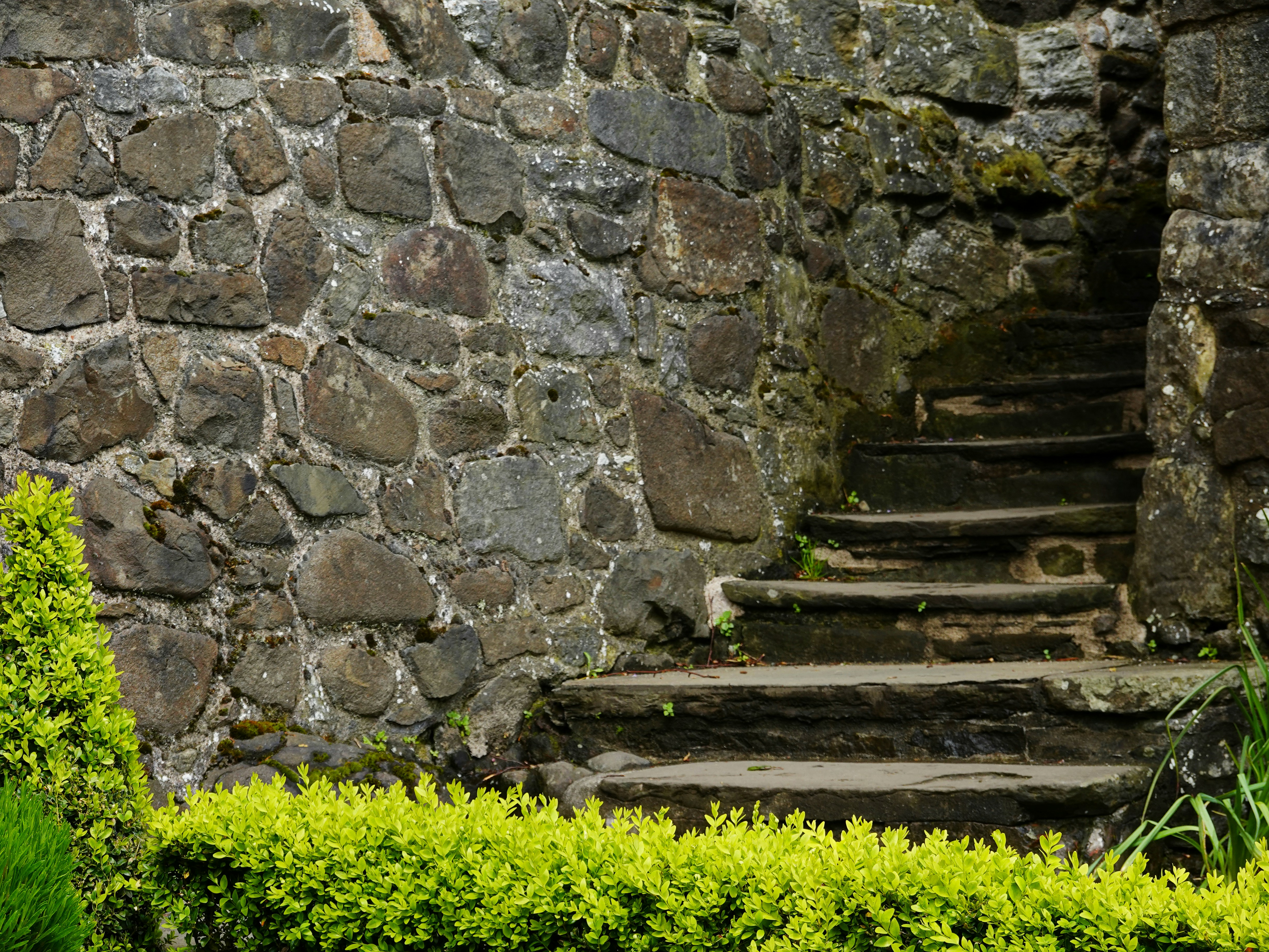 Stone Staircase into the Mossy Wall Garden