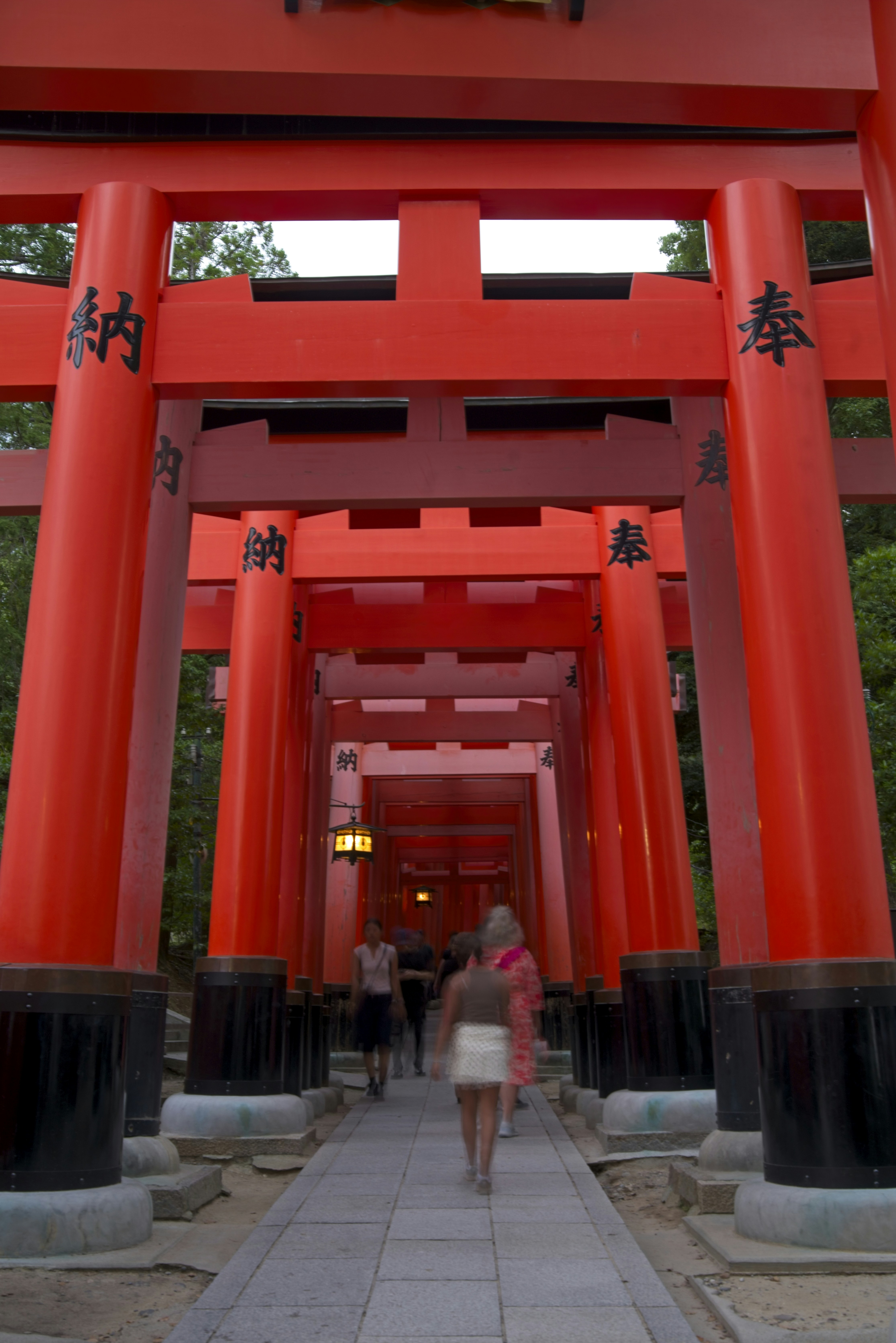 Red Gate Corridor: A Path Through Torii