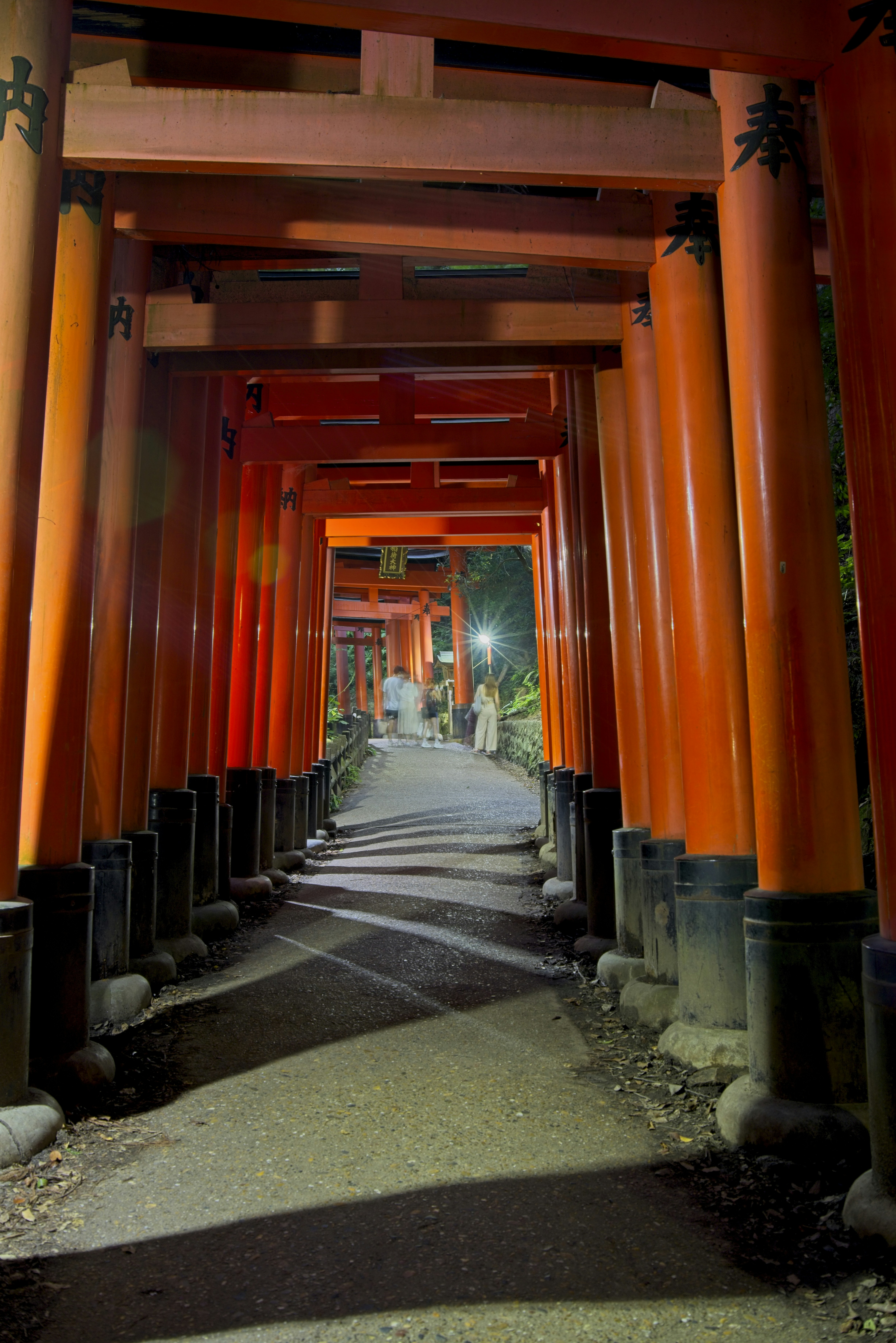 A long exposure captures rows of vibrant vermillion torii gates stretch into the distance at Fushimi Inari Taisha, Kyoto, illuminated by a single glowing streetlight on a humid July evening. A small group of tourists walks along the gravel path, casting long dappled shadows across the tunnel-like passage. Inscribed kanji marks the wooden pillars, capturing the quiet, atmospheric beauty of this sacred mountain shrine trail after dark.