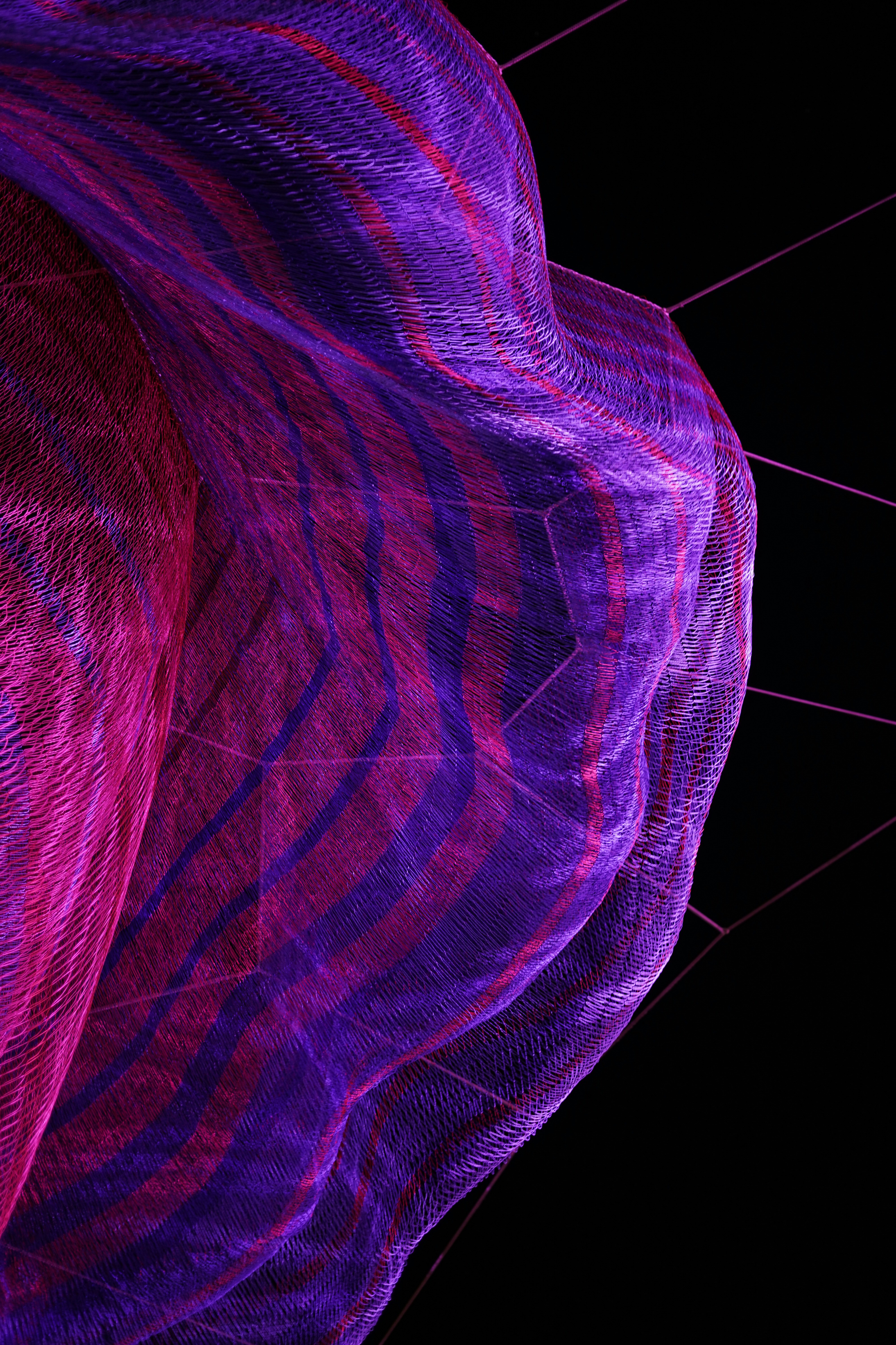 Neon Veil: Curves of Color on a Digital Loom