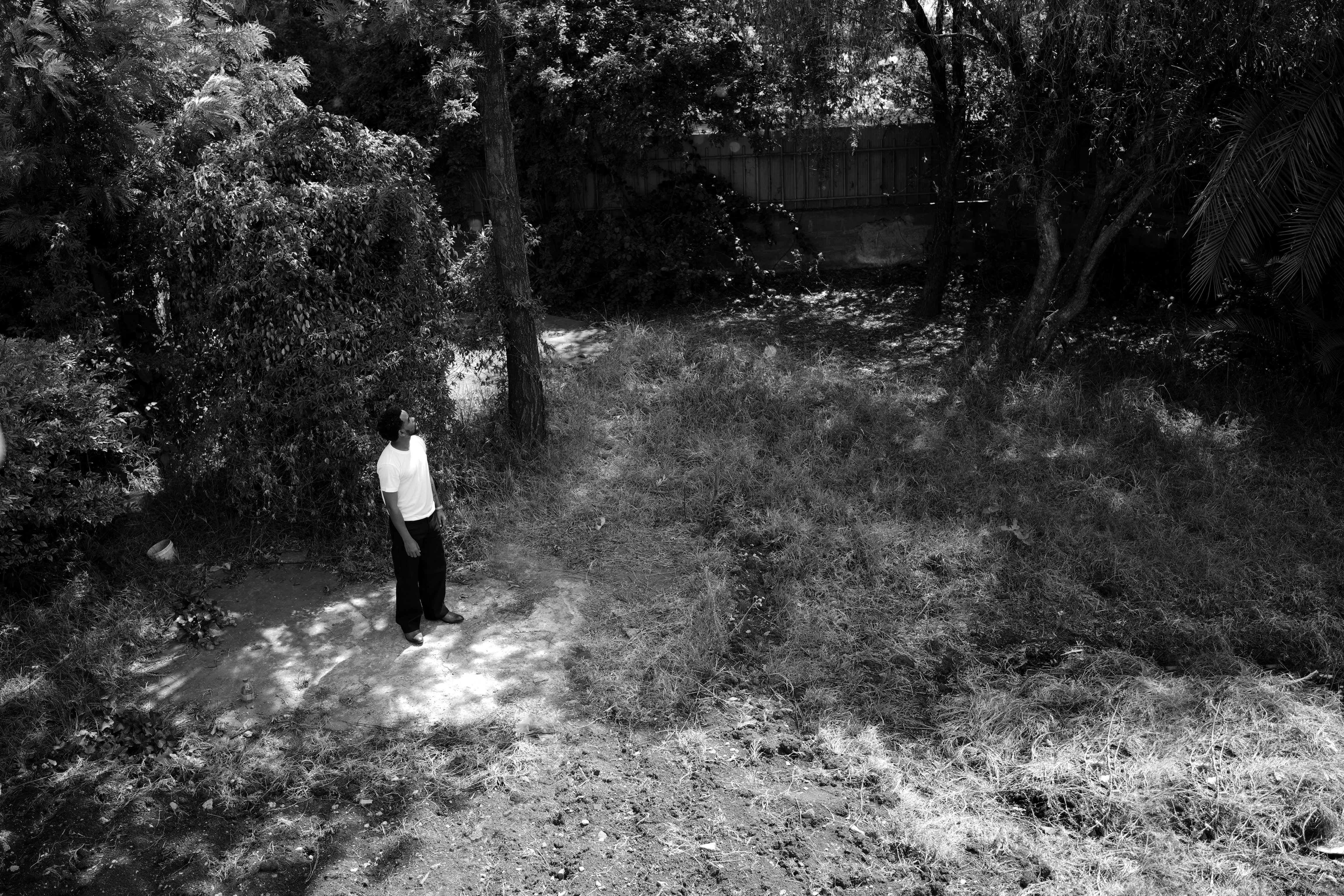 Lone figure in a sunlit clearing under a canopy