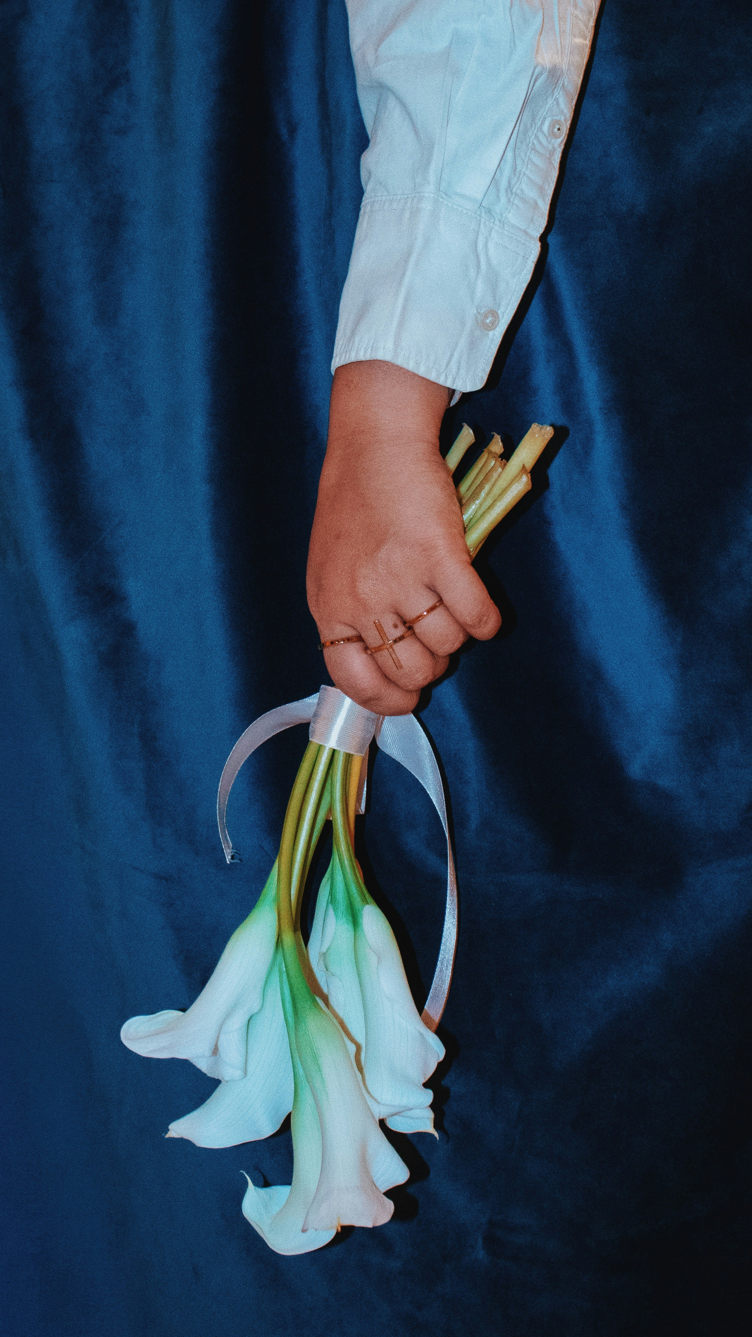 White-sleeved grip: bouquet of calla lilies in a dark velvet backdrop