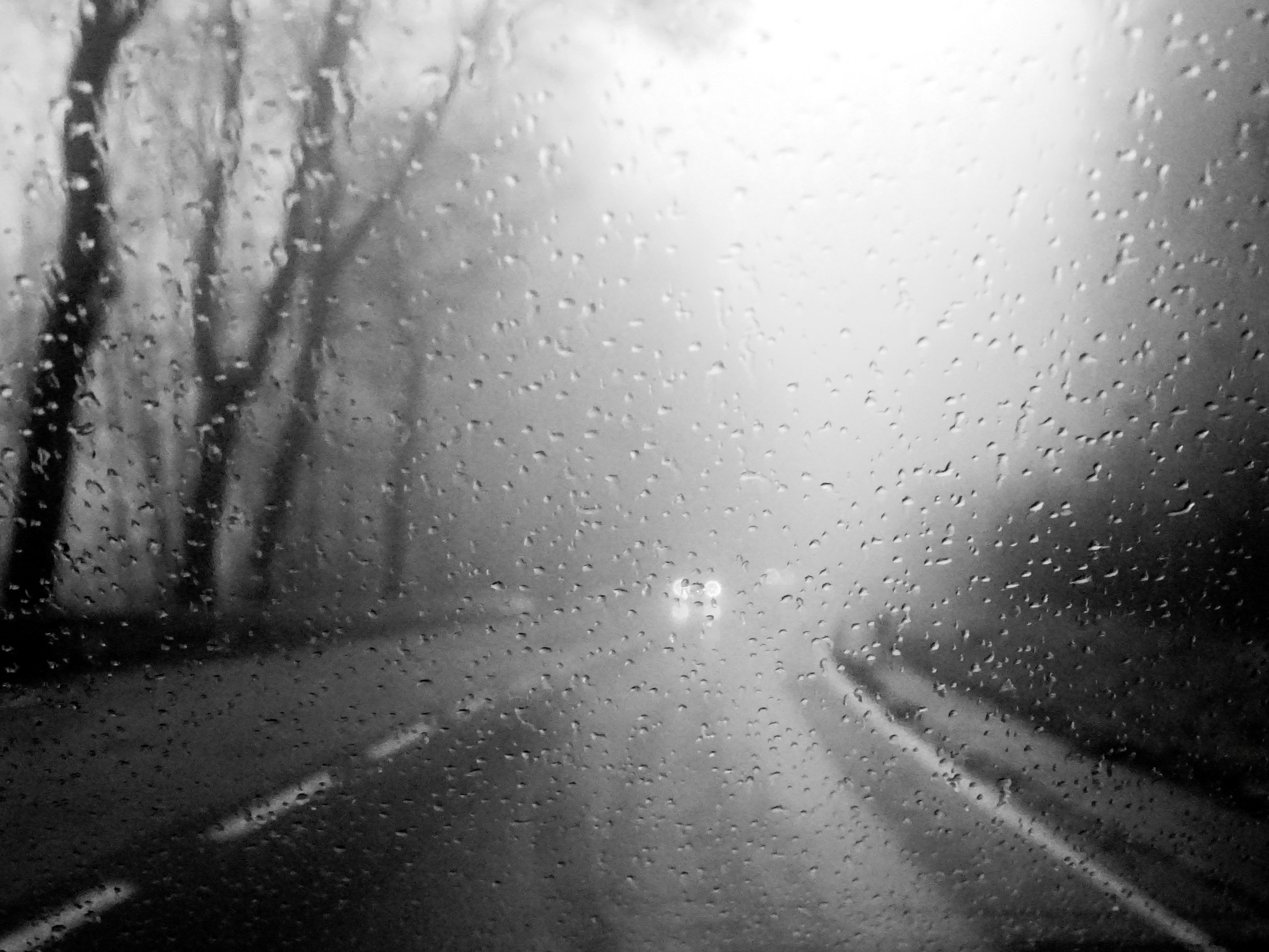 Rain-Slick Road into the Unknown