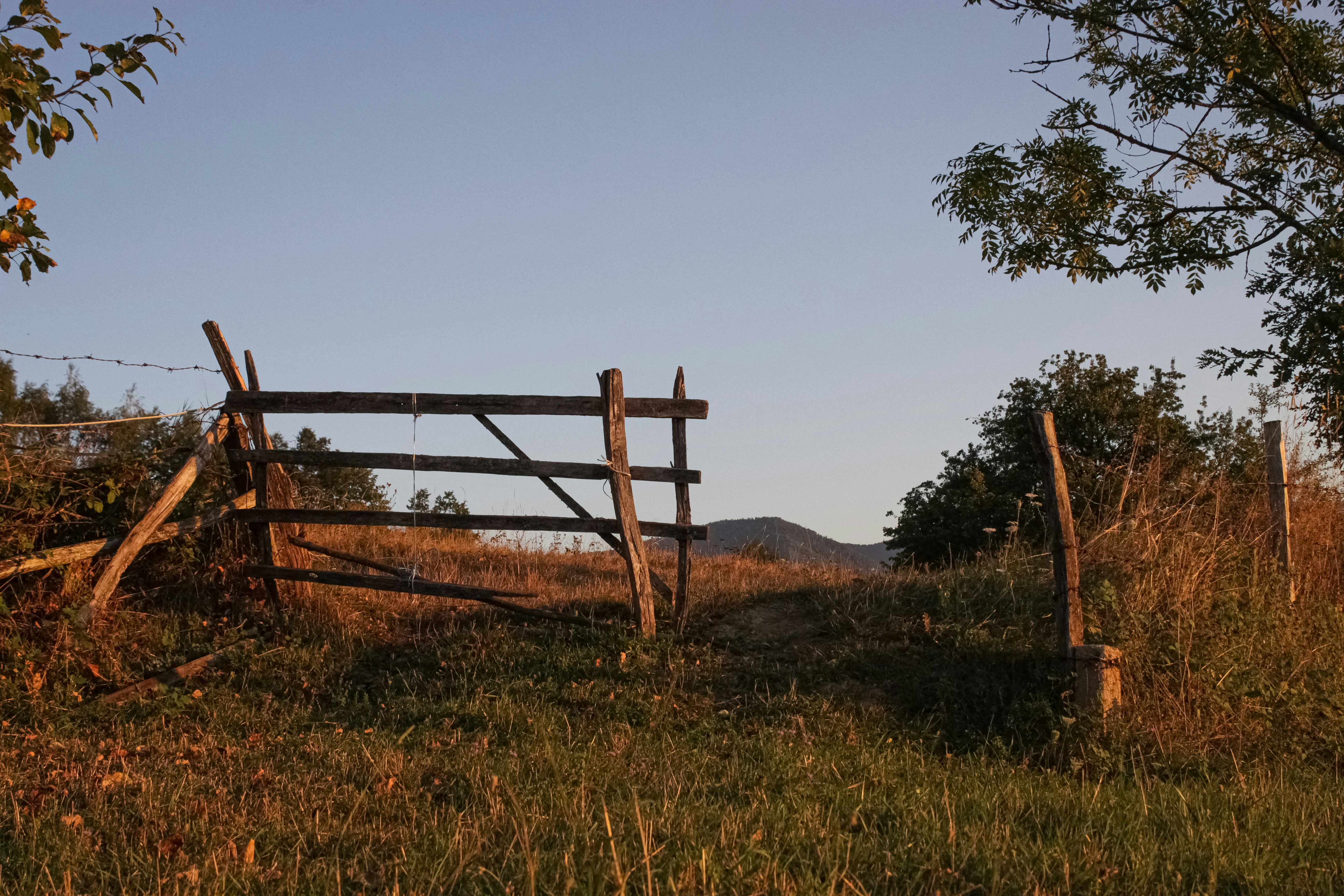 Weathered Gate Across the Dune Grass at Golden Hour