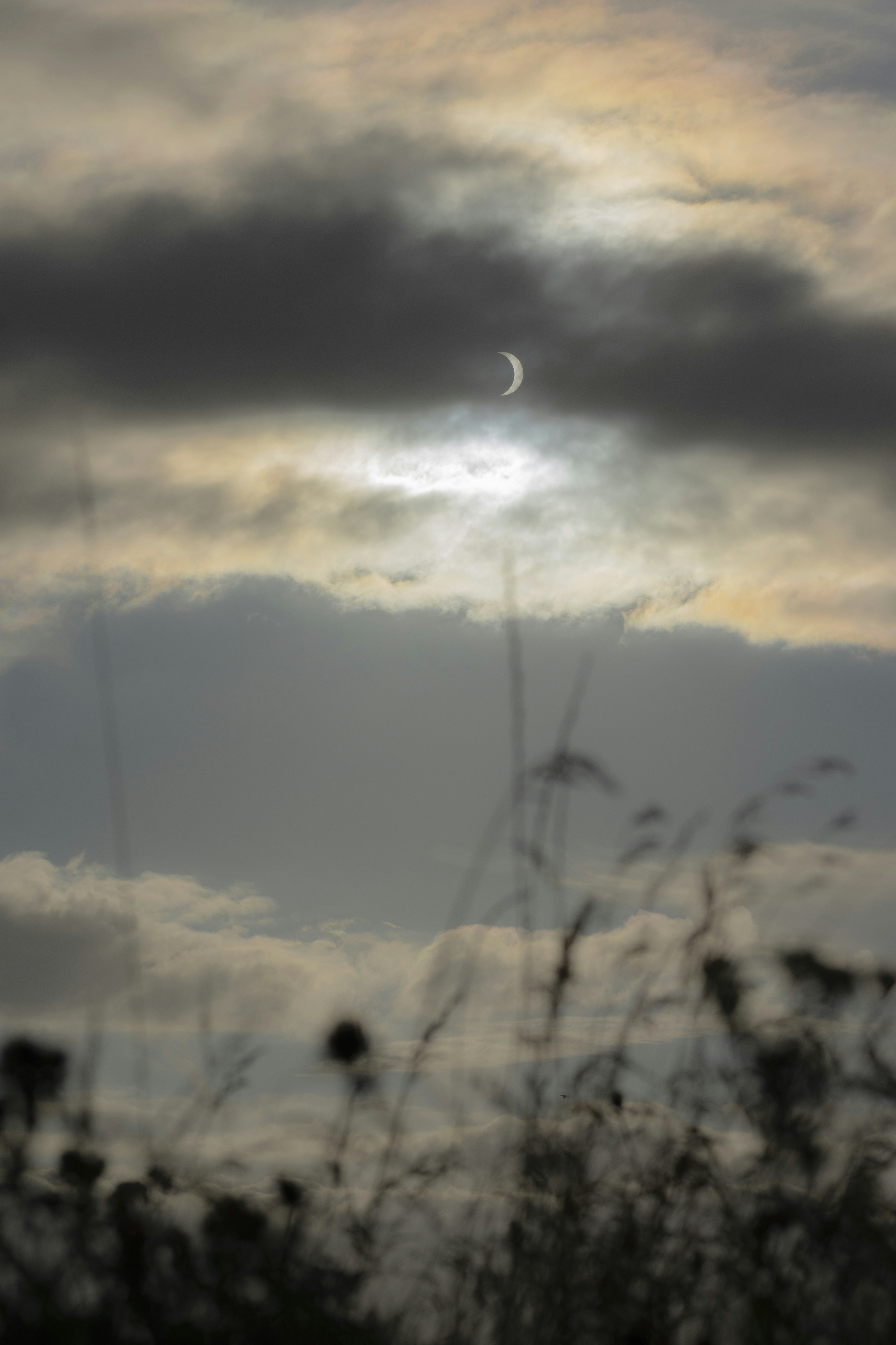 Softly lit crescent visible through distant clouds above a blurred foreground of grasses; a calm, moody sky scene with muted colors and a shallow depth of field.
