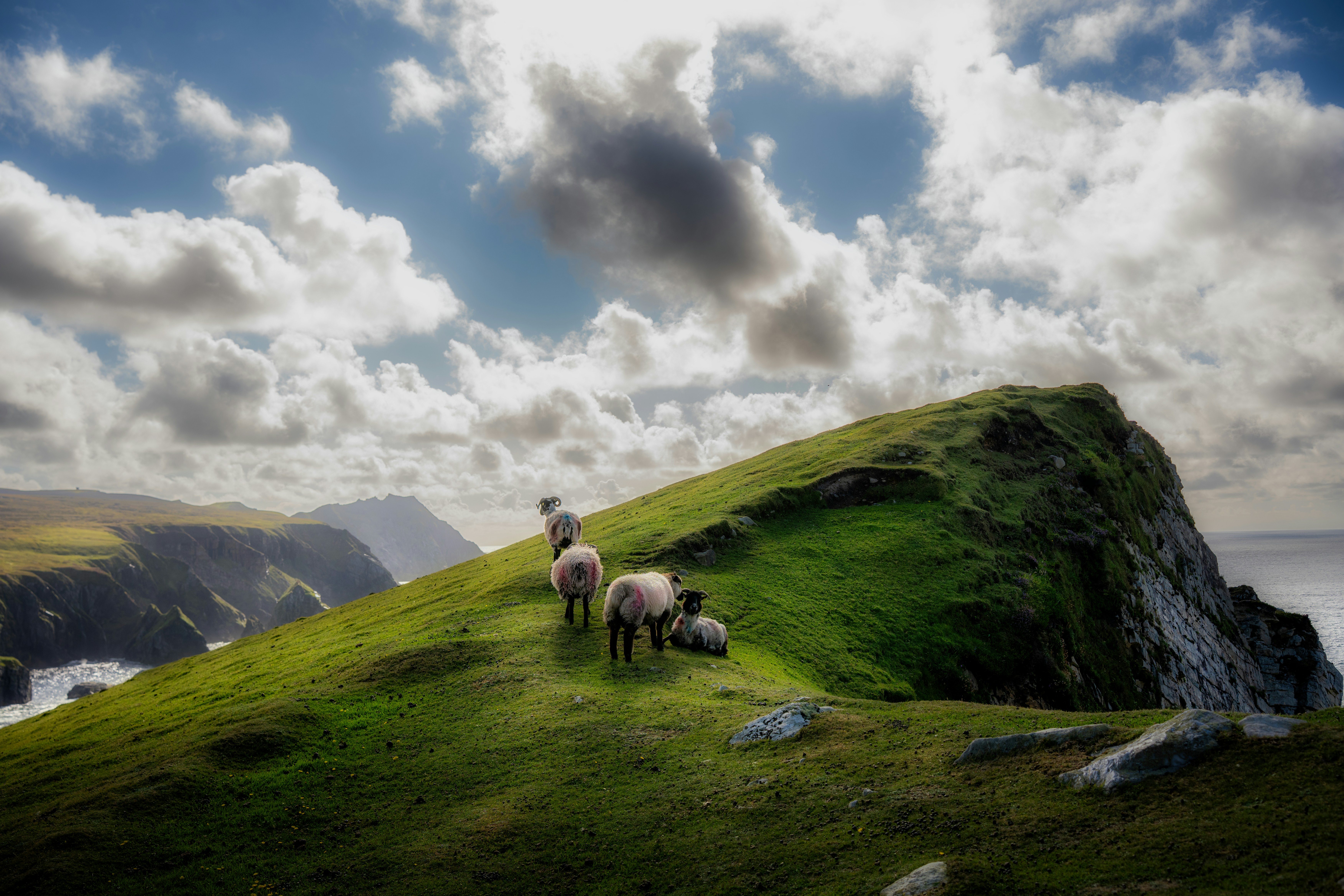Grazing on the Green Promontory