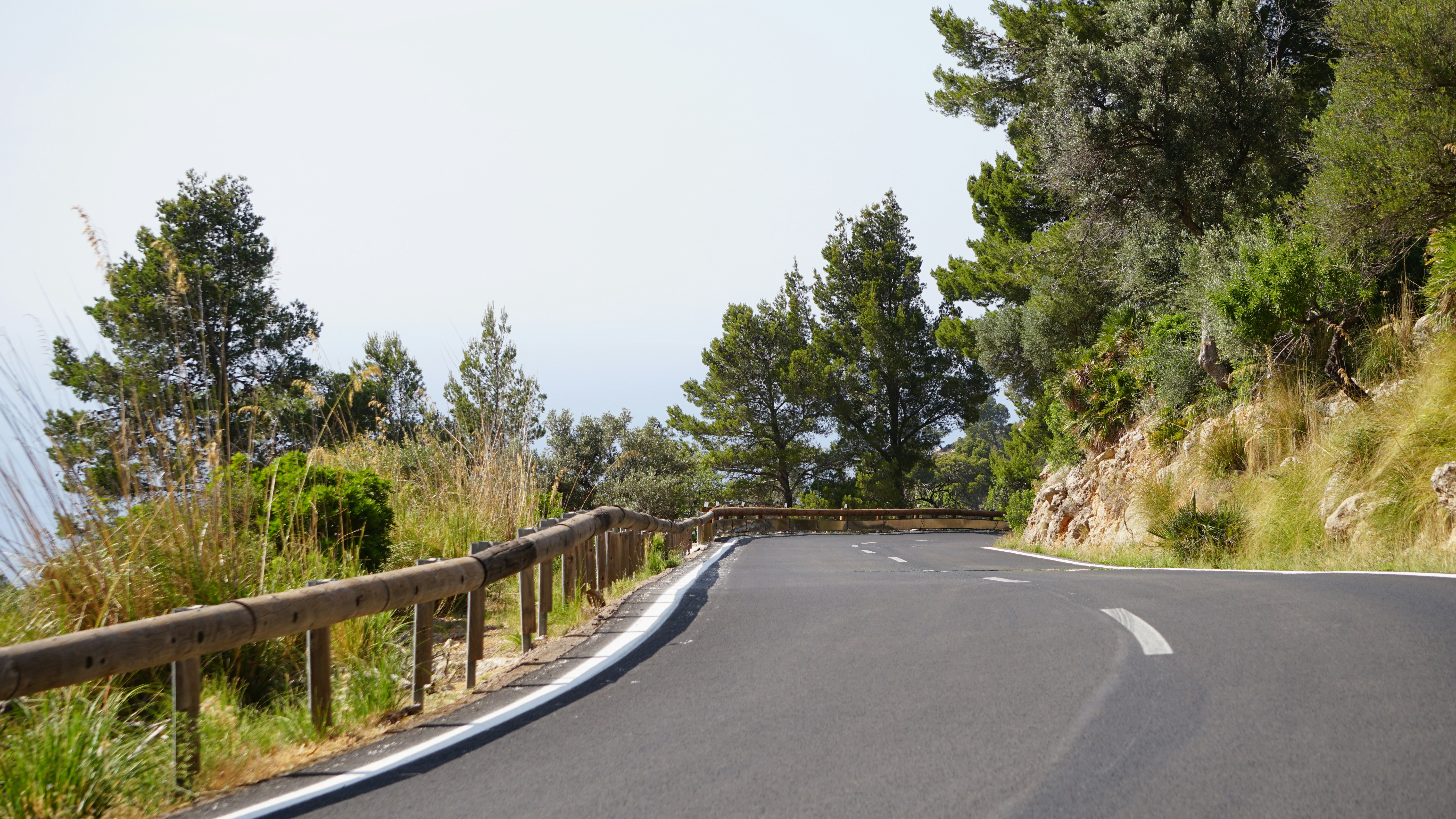 Winding asphalt road curves through a hillside pine forest, guarded by a wooden railing, with distant trees and light sky visible.