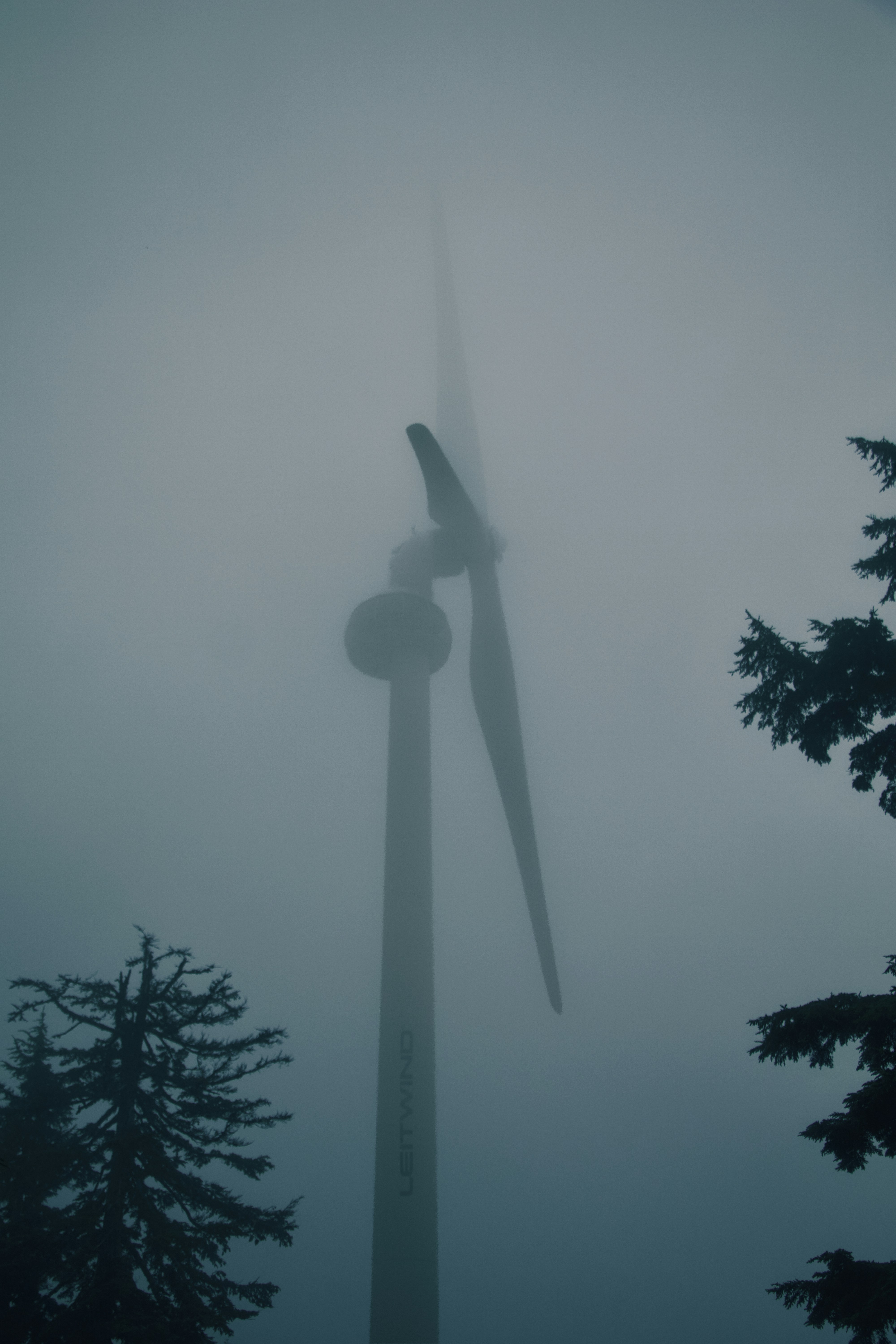 Silent Giant in the Mist: A Wind Turbine Reaches into Fog